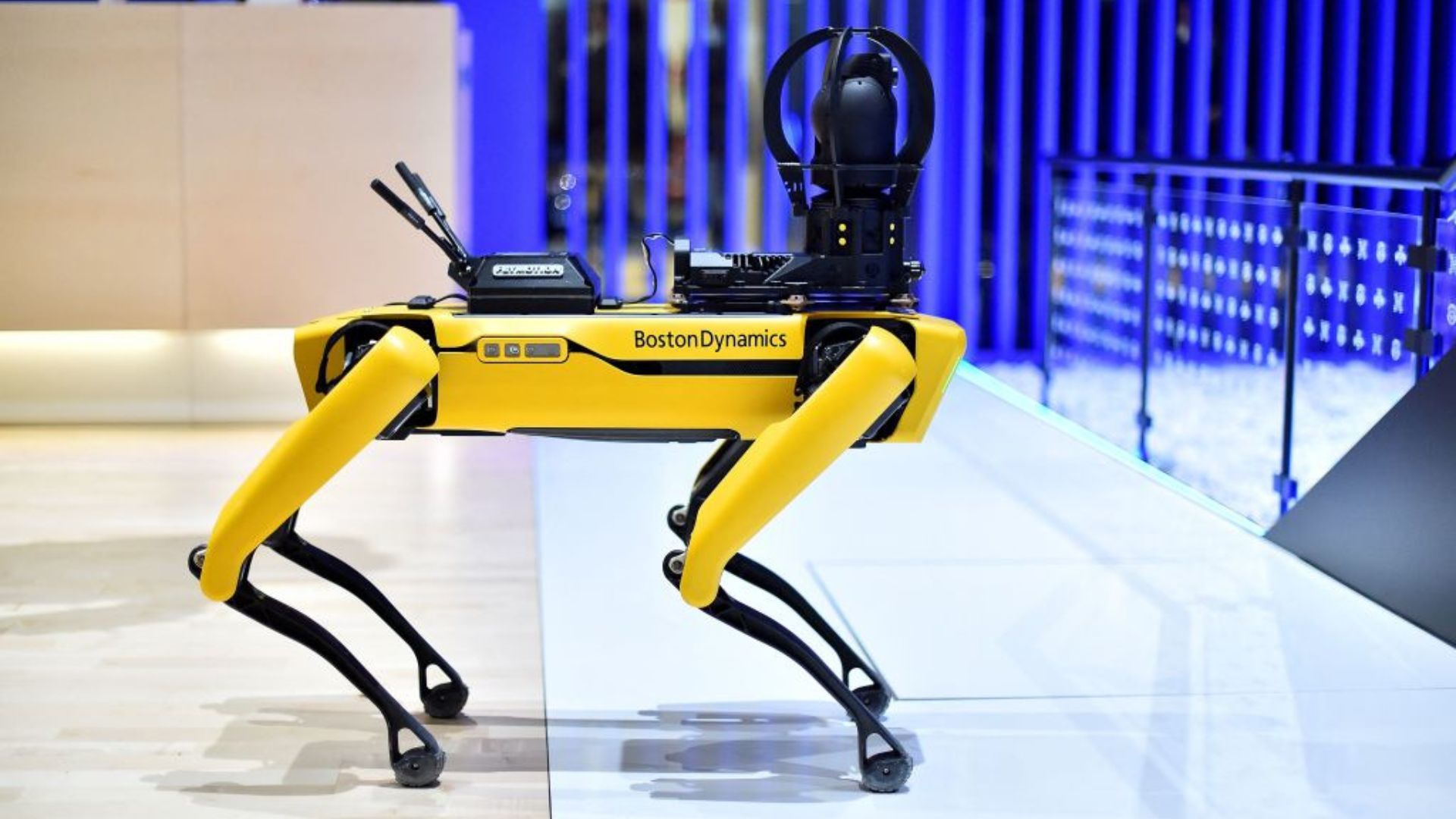 Conoce al ‘Digidog’, el perro robótico que reforzará la seguridad de la ...