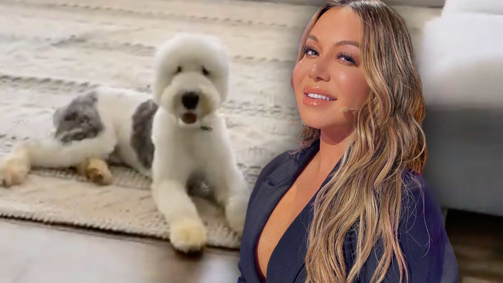 El 'hijo' de Chiquis no resultó ser tan “buen chico” tras un mes de ...