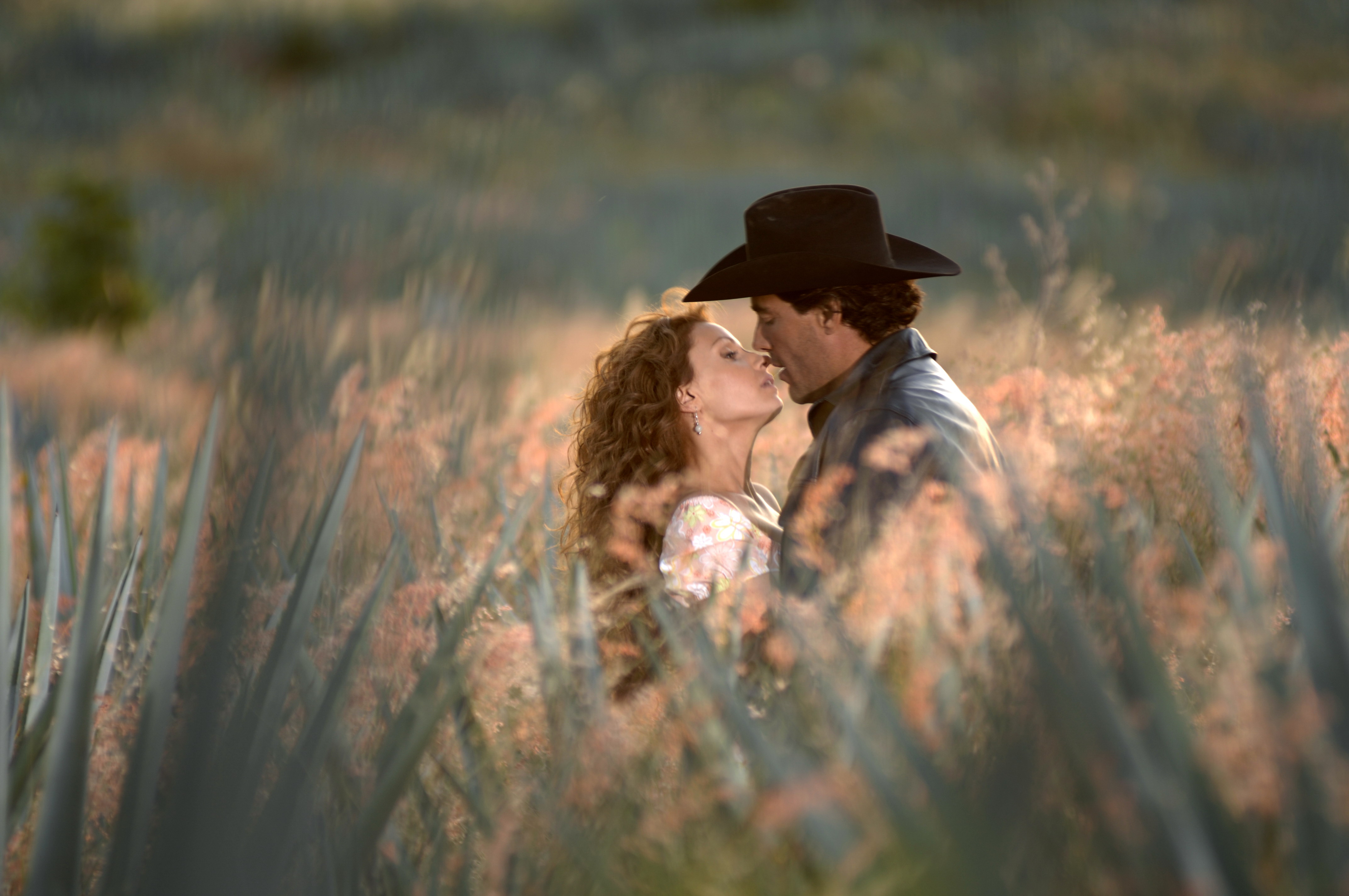 Disfruta todos los capítulos de Destilando Amor por blim tv | Shows ...