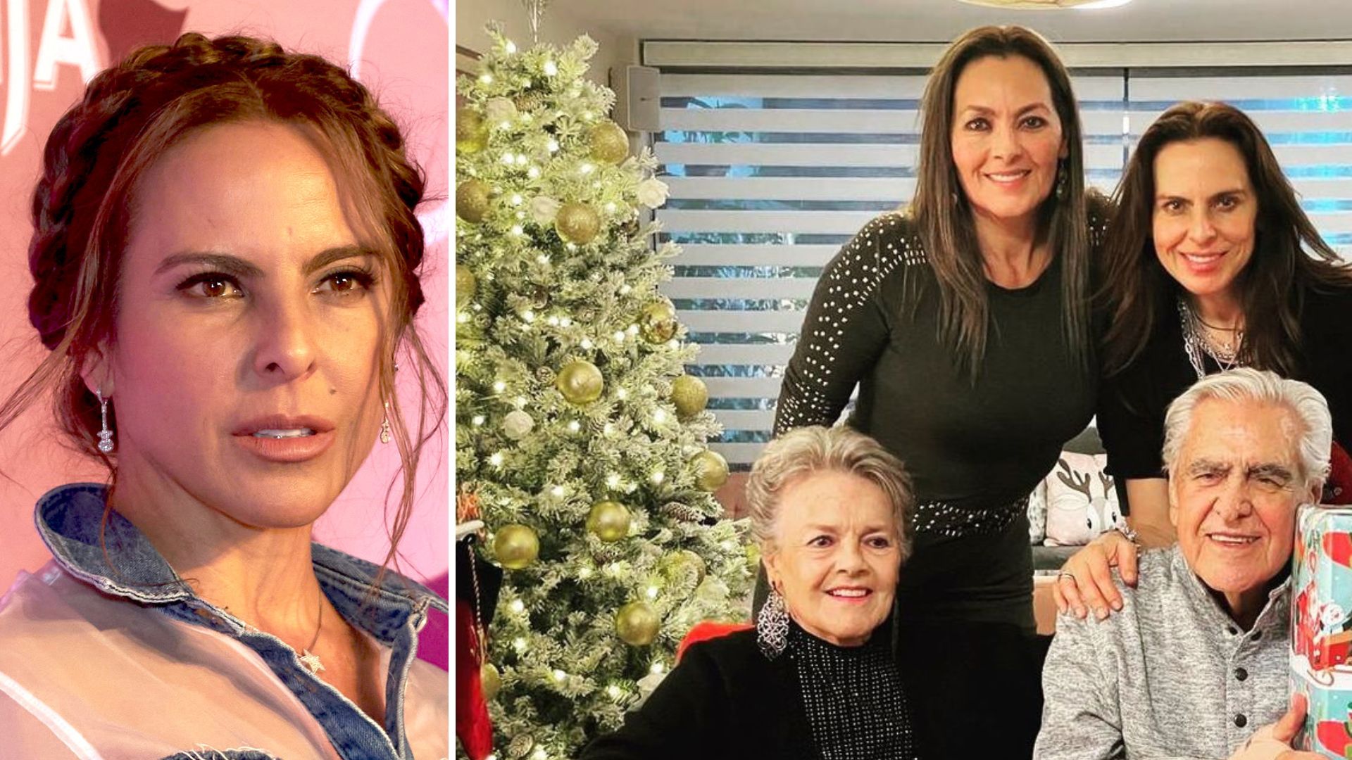 Kate del Castillo no pasará Navidad con sus padres por primera vez ...