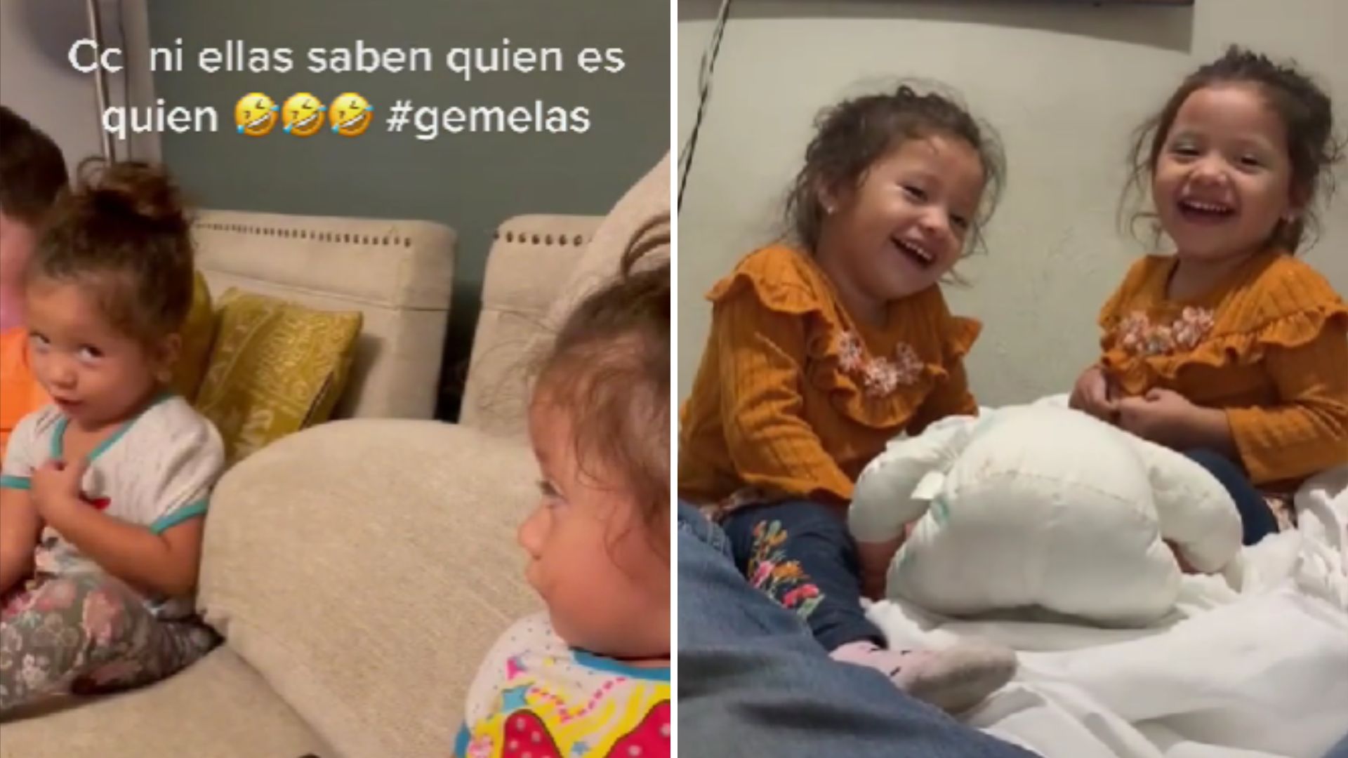 Niñas gemelas intentan confundir a su mamá para evitar ser regañadas y ...