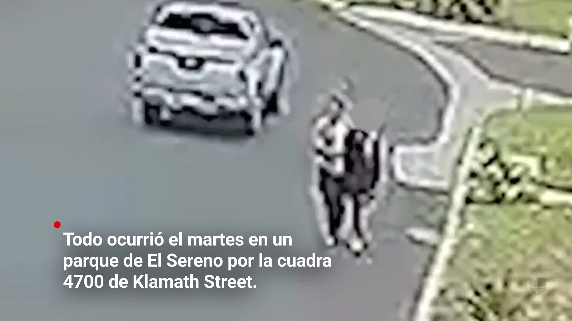 Capturan A Sospechoso De Secuestrar Y Agredir Sexualmente A Un Menor En