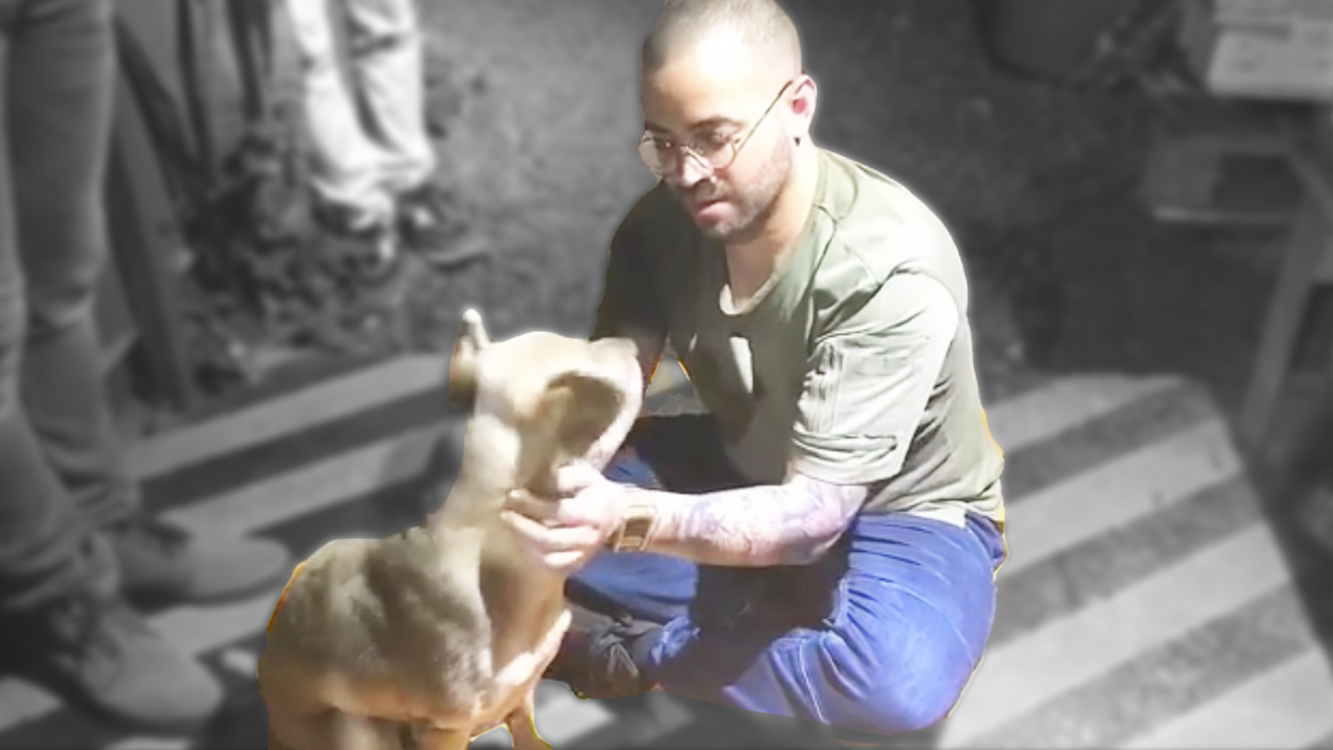 Conoce a Maco, el perro de tres patas amigo de Nacho que vive gracias a ...