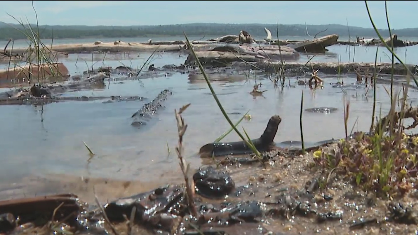 Peligros de nadar en ríos y lagos con ramas y escombros | Video ...