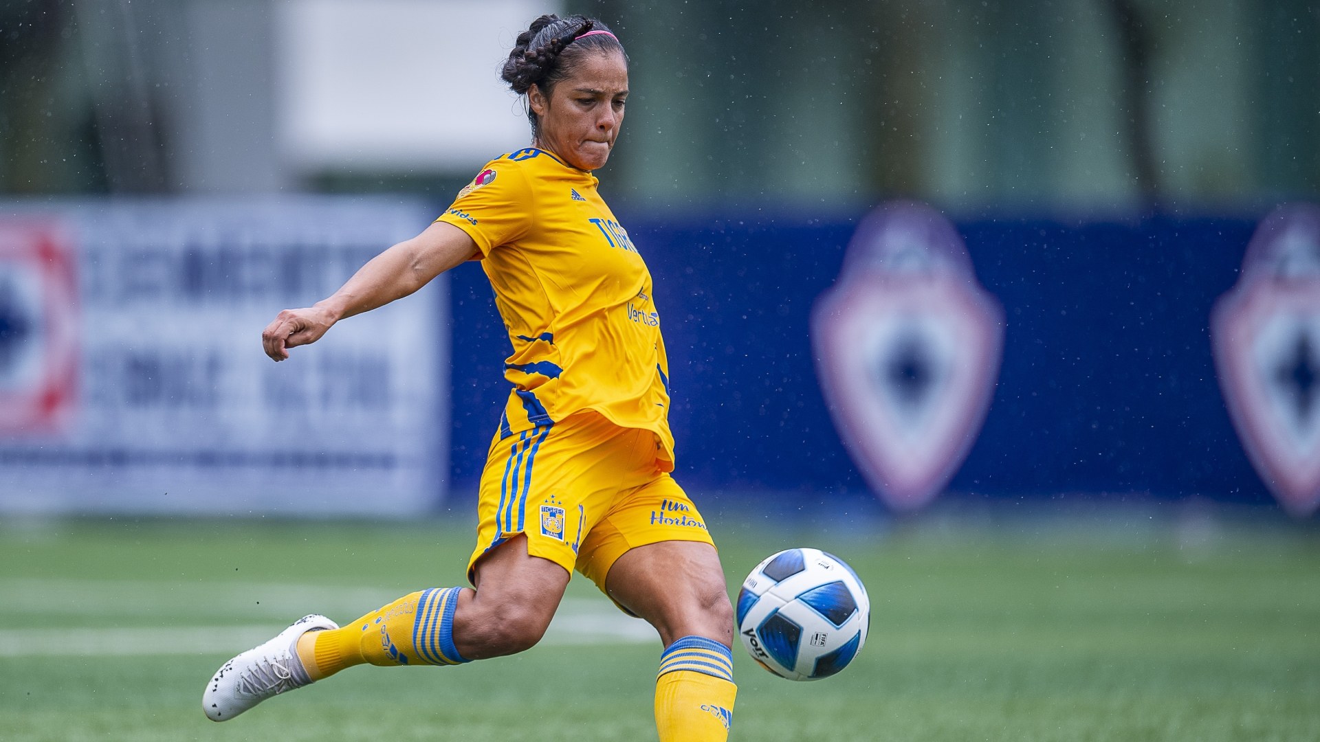 Cristina Ferral jugará la Final con Tigres con título de director ...