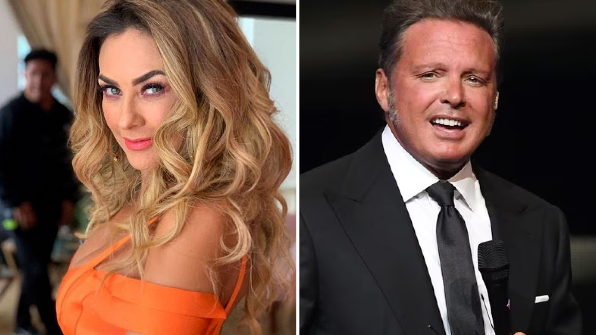 Aracely Arámbula llama "Rey cucaracho" a Luis Miguel y no es la primera vez: todas las veces que ...