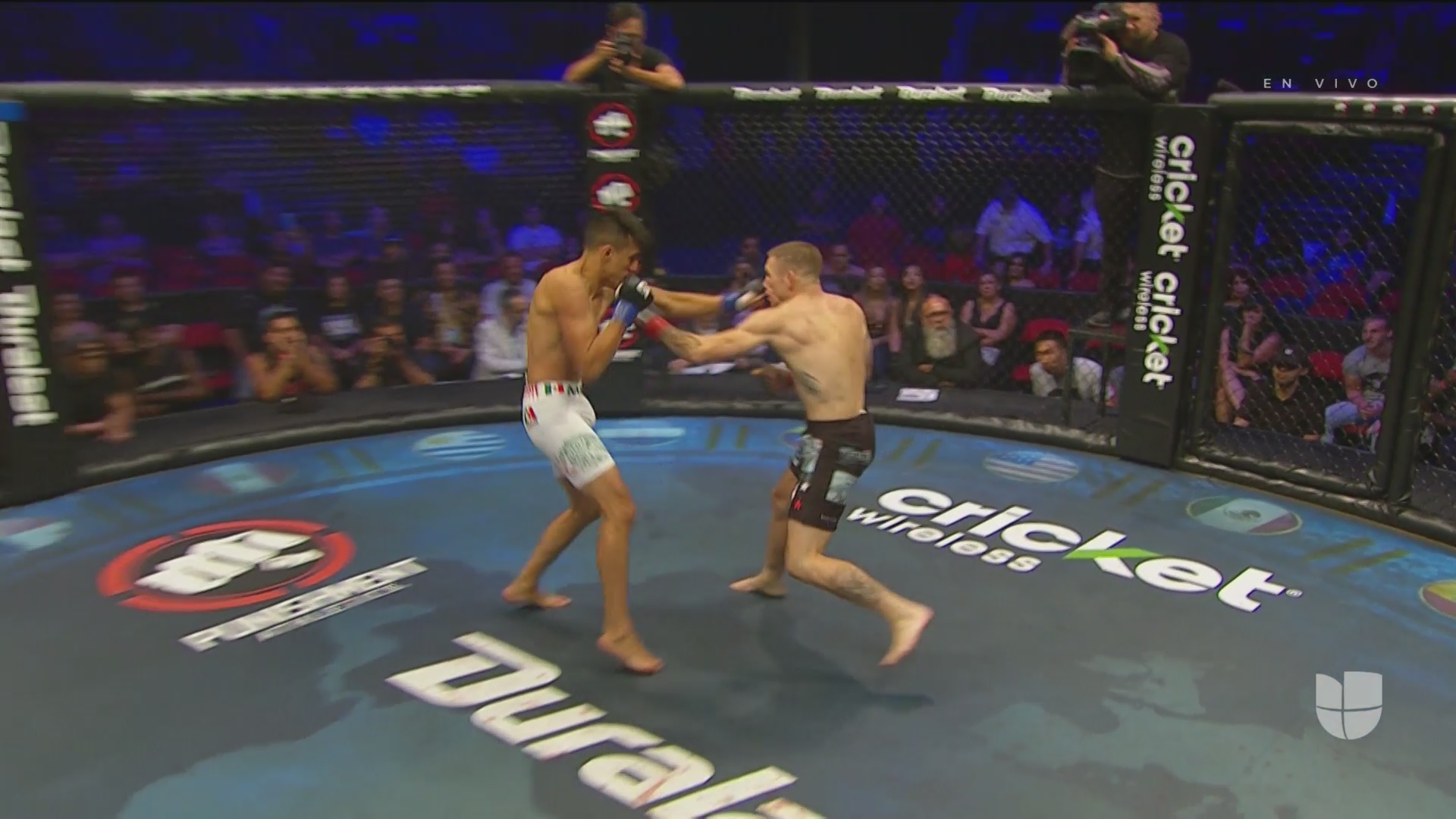 Jesse Strader lo acaba en el primer round por la vía del KO | Deportes ...