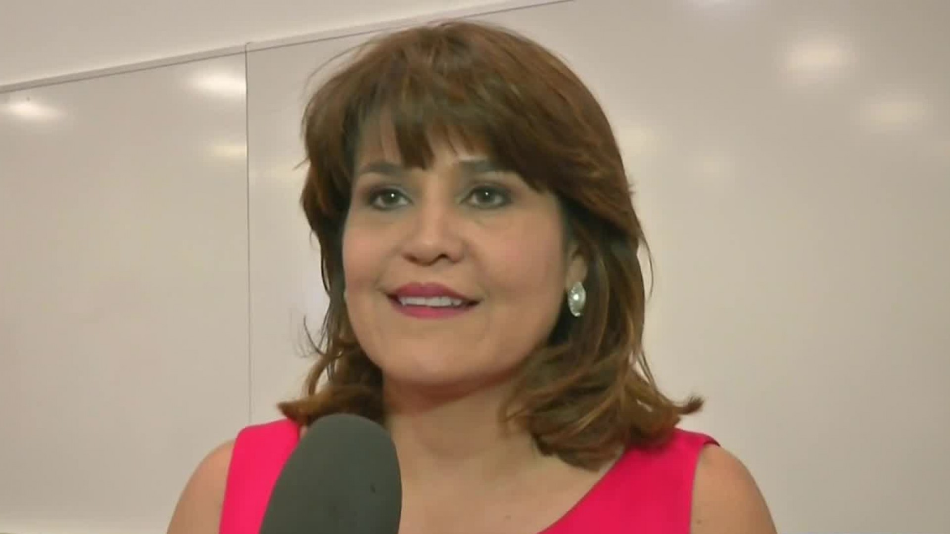 Annette Taddeo juramentó como nueva senadora de Florida por el distrito ...