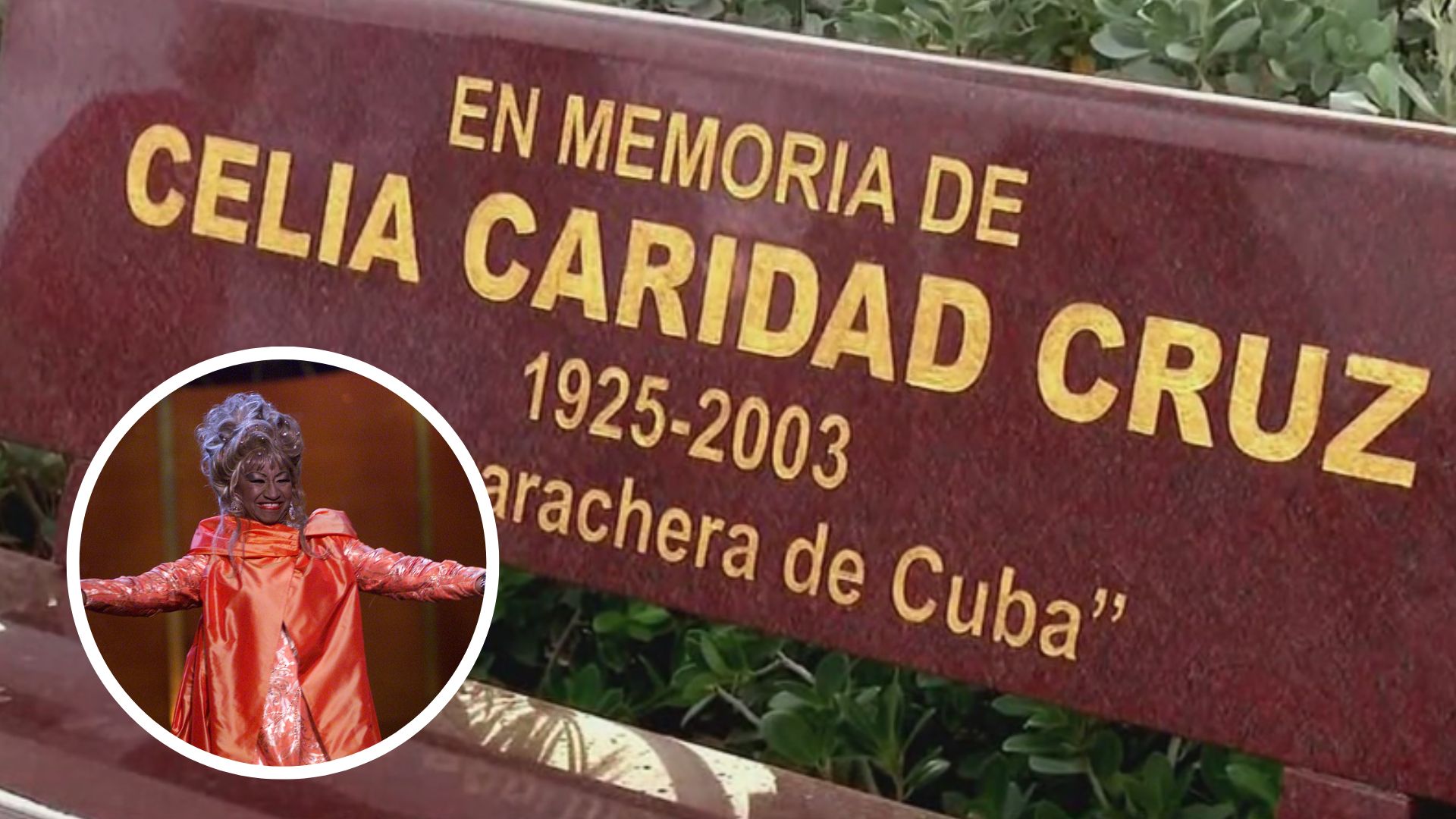 Así recuerdan en Miami a Celia Cruz en el aniversario 20 de su muerte ...