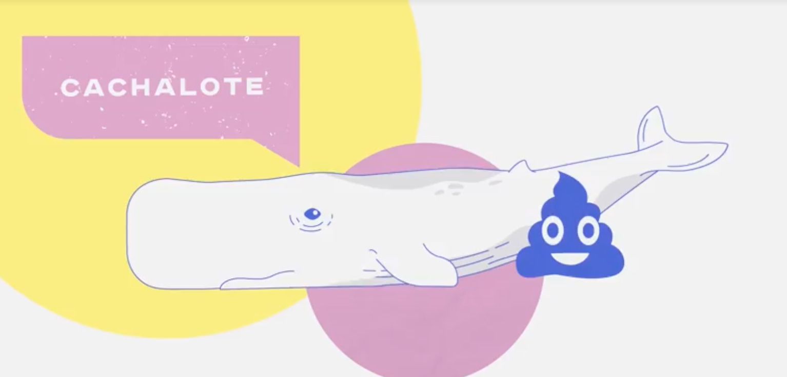 A que no te imaginas lo que hacemos los humanos con el excremento de ...