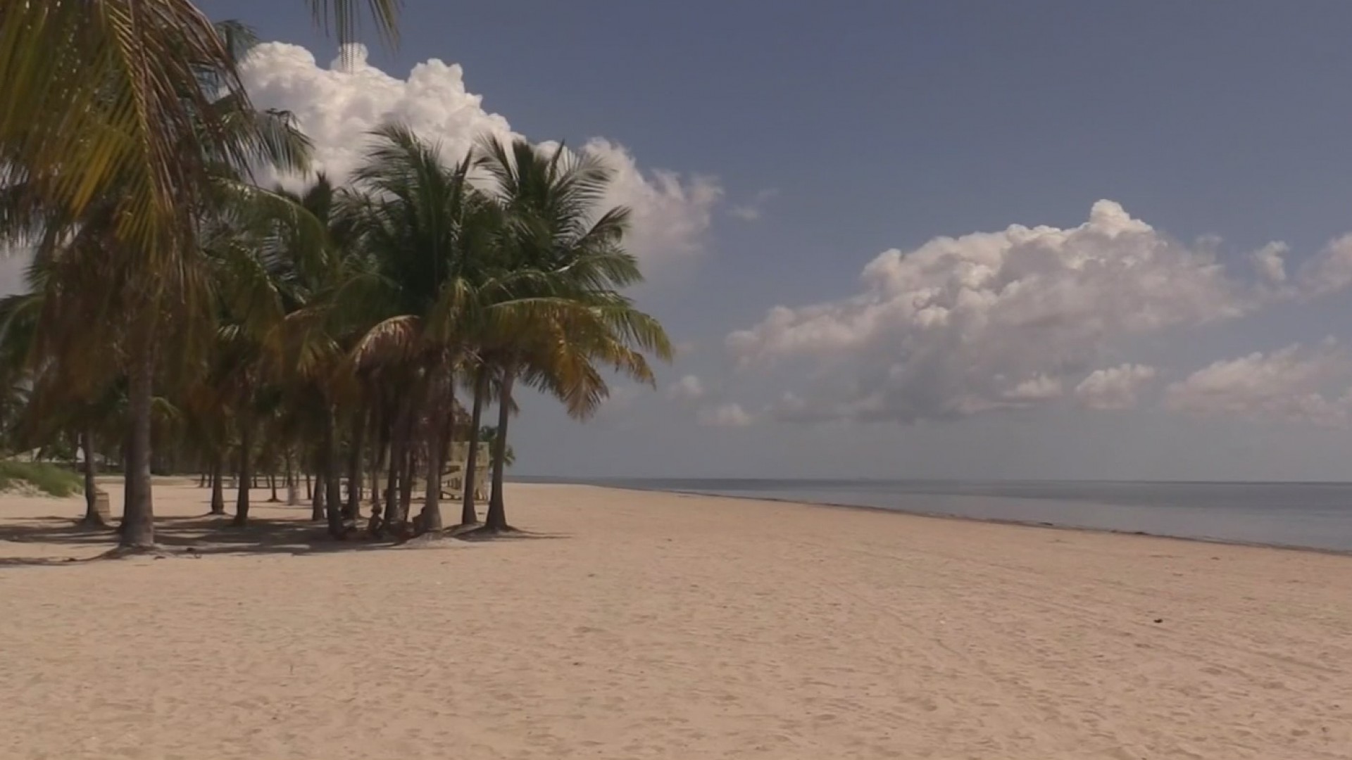 Lo que debes saber sobre el cierre de playas de Key Biscayne por la ...