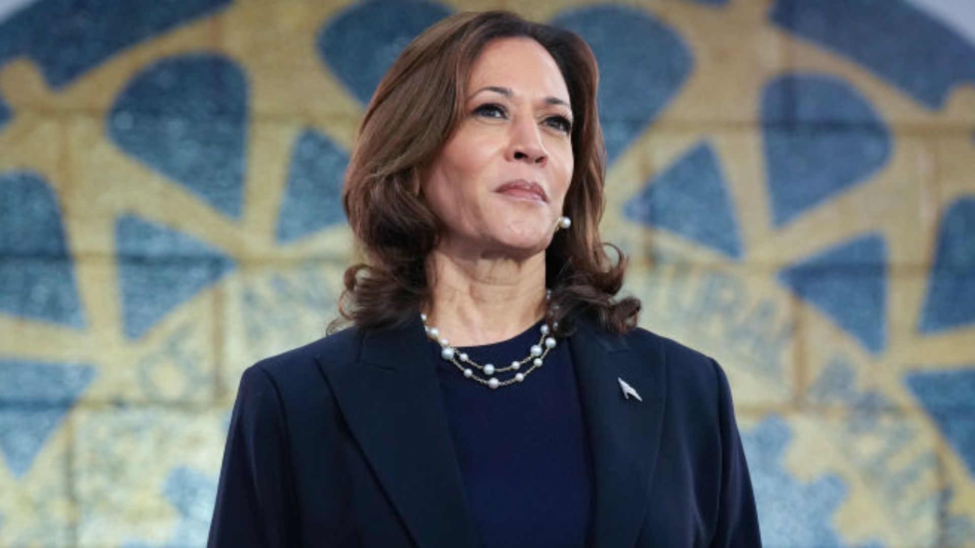 Kamala Harris busca conquistar el voto de los estadounidenses en el ...
