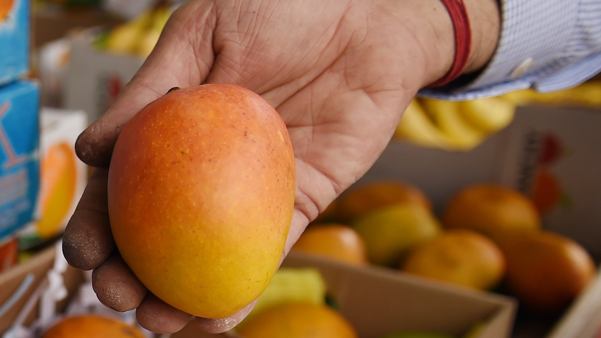 La receta de Cecilia para obtener todos los beneficios del mango ...