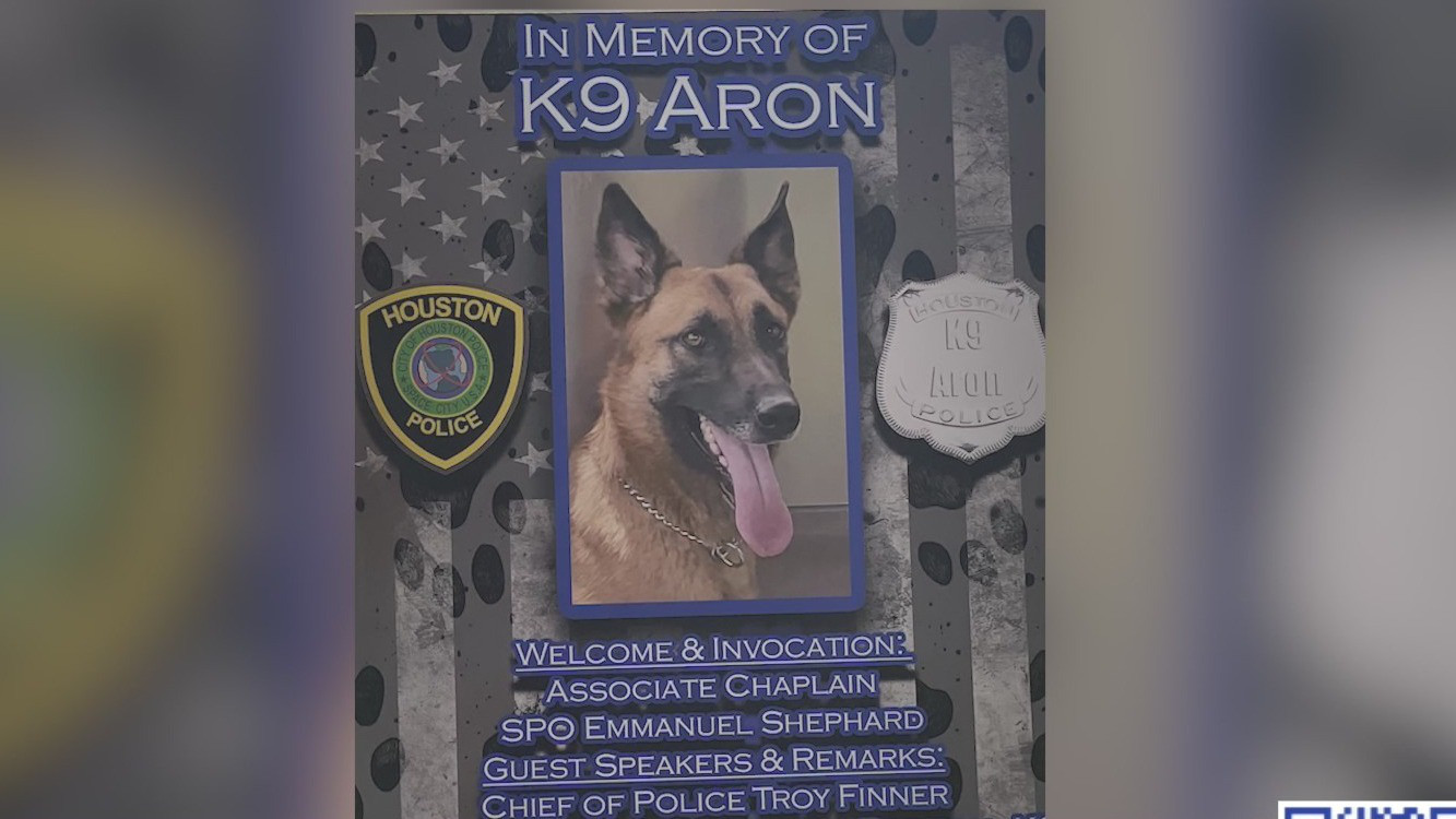 Despiden en Houston al perro policía Aron, que murió por calor en una ...