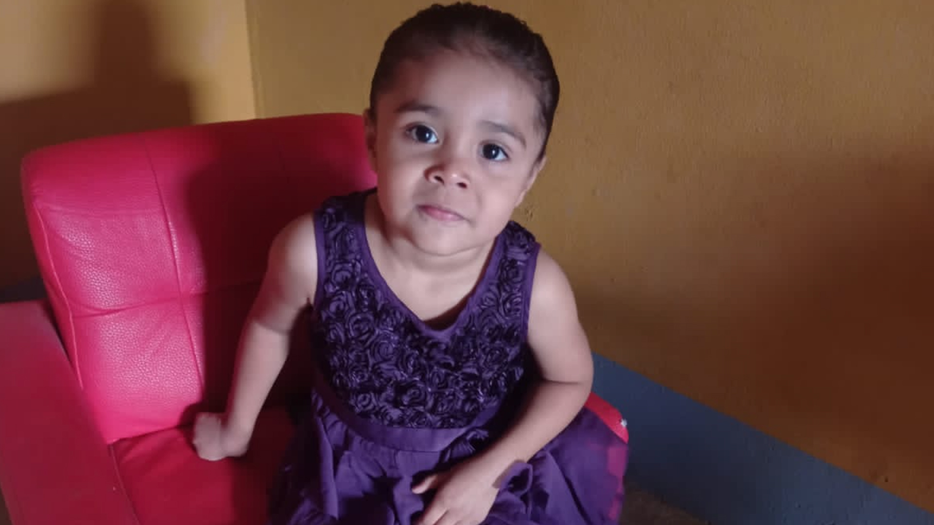 Sofía Abigail: la niña de 3 años que cruzaba la frontera para ver a su papá y ahora está ...