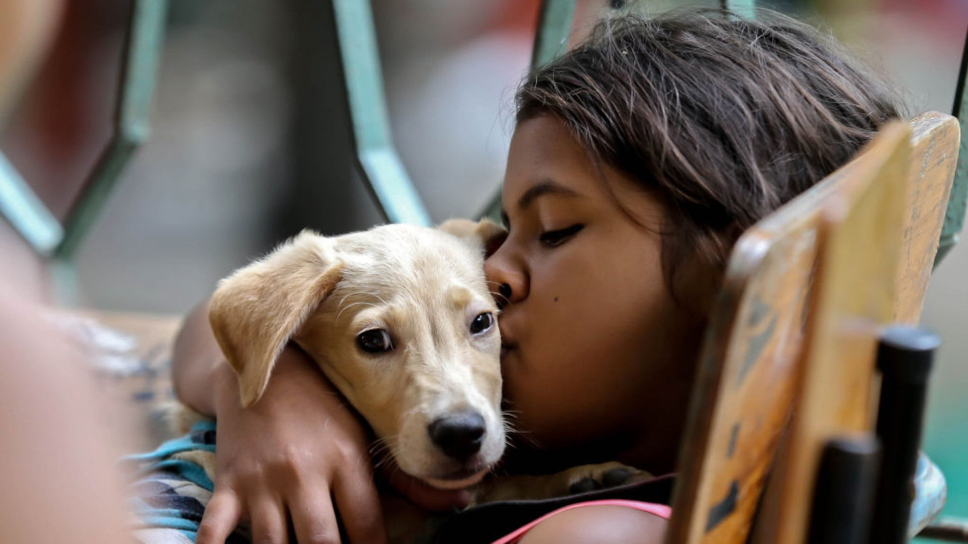 Puedes comenzar el 2022 adoptando una mascota gracias a esta campaña en ...