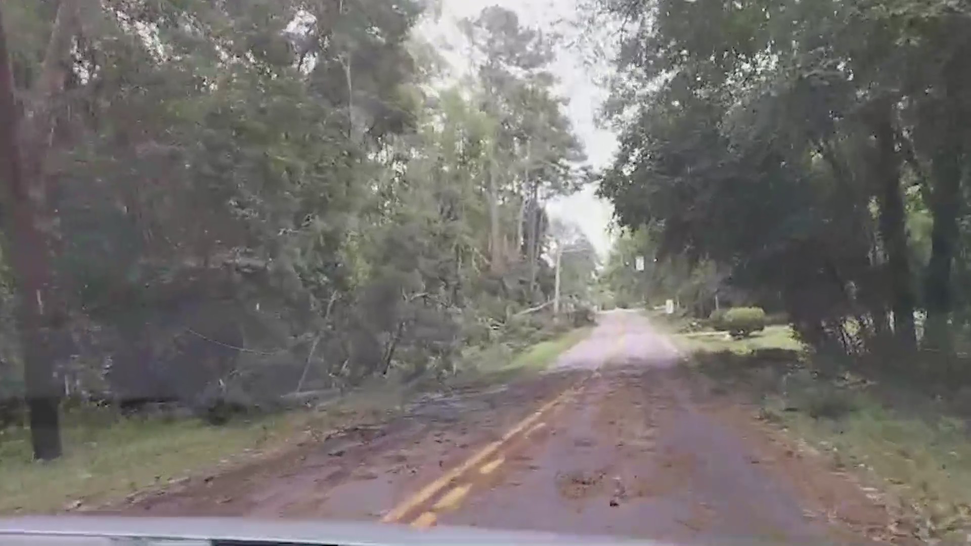 Idalia causa destrozos en varias zonas del sur de Georgia | Video ...