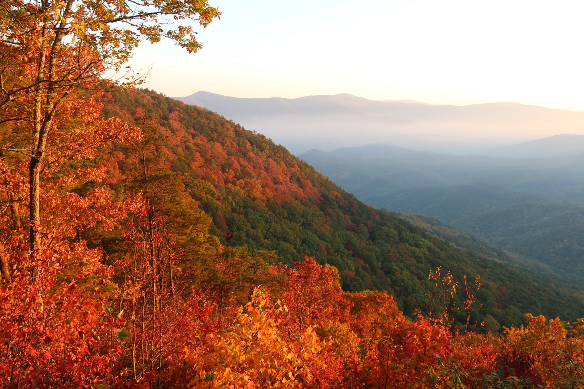 Estos son los mejores senderos para visitar en Georgia durante el otoño ...