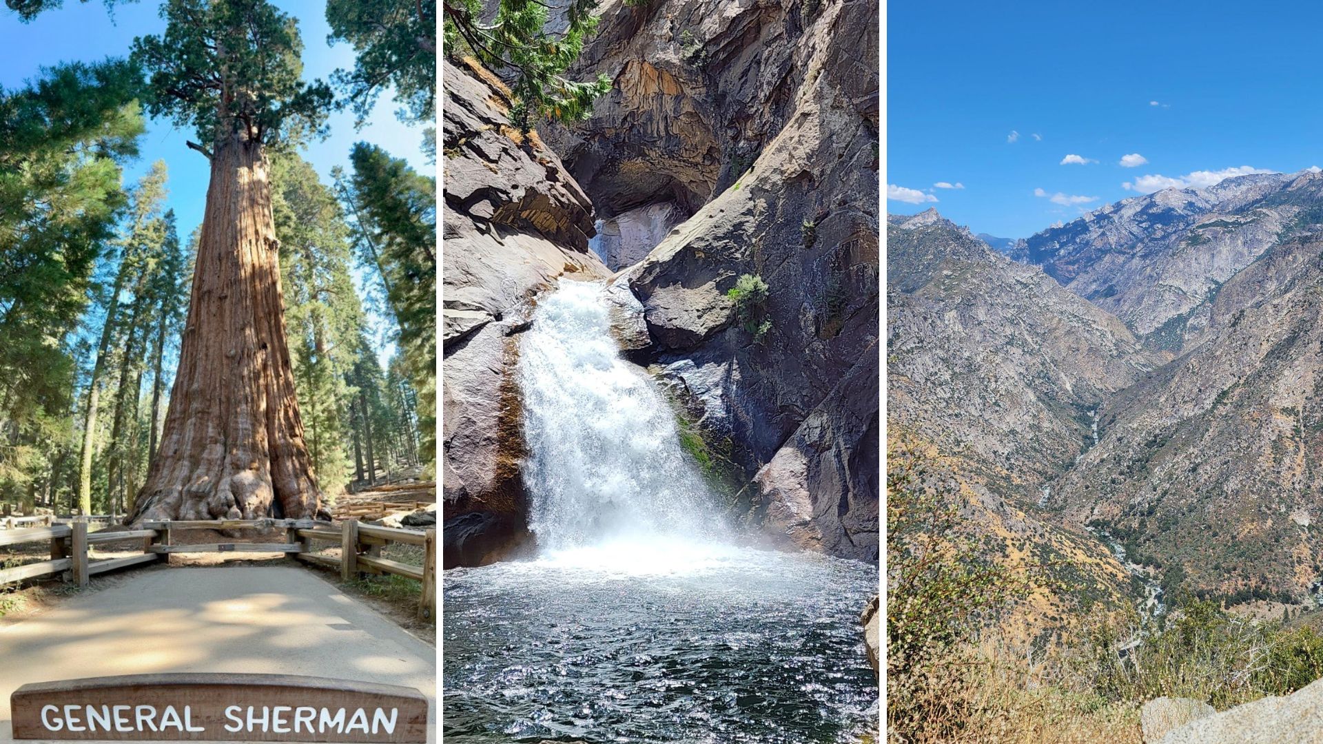 Qué visitar en California: Las maravillas naturales del Parque Nacional ...