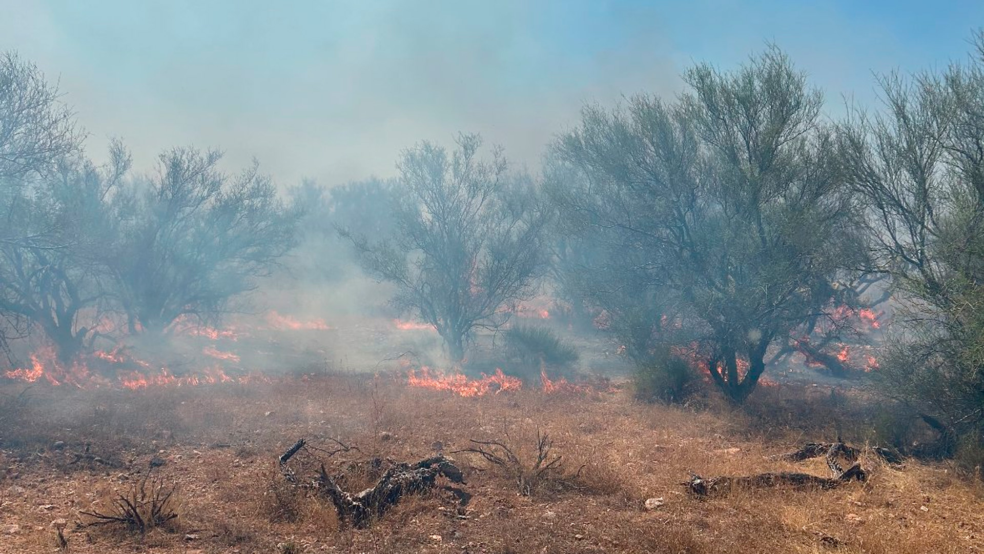 Piden a residentes de Kearny evacuar debido al incendio forestal Ray ...