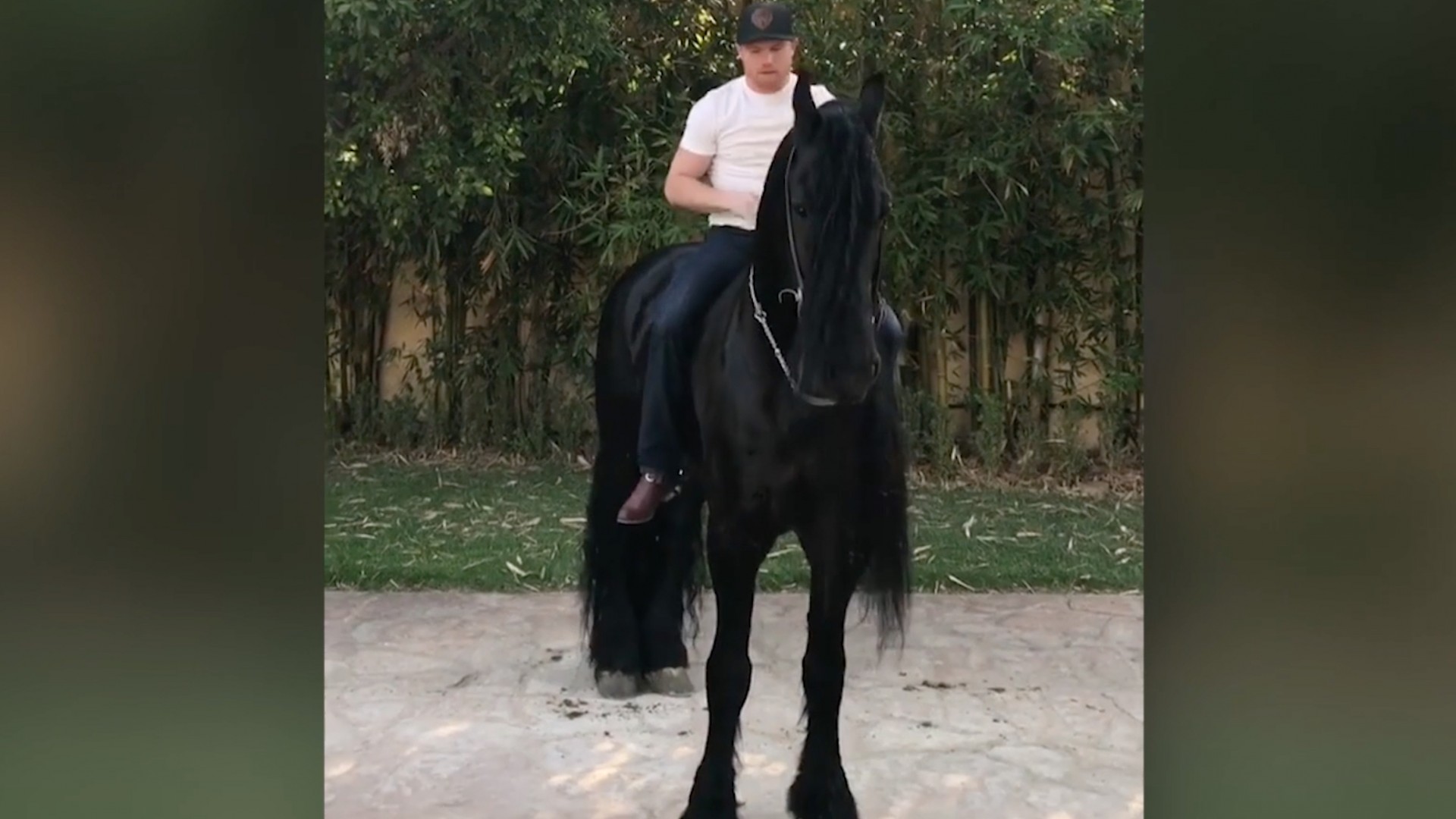 Así presumió Saúl ‘Canelo’ Álvarez su imponente y hermoso caballo ...
