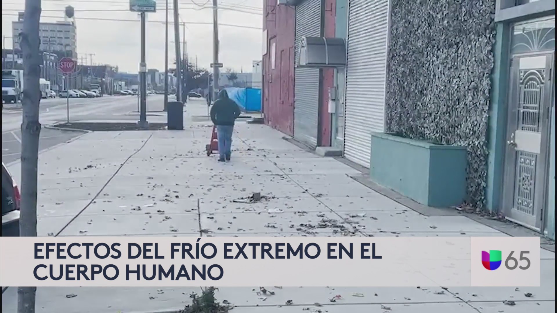 Conoce cuáles son los efectos que provoca el frío extremo en el cuerpo humano | Video ...