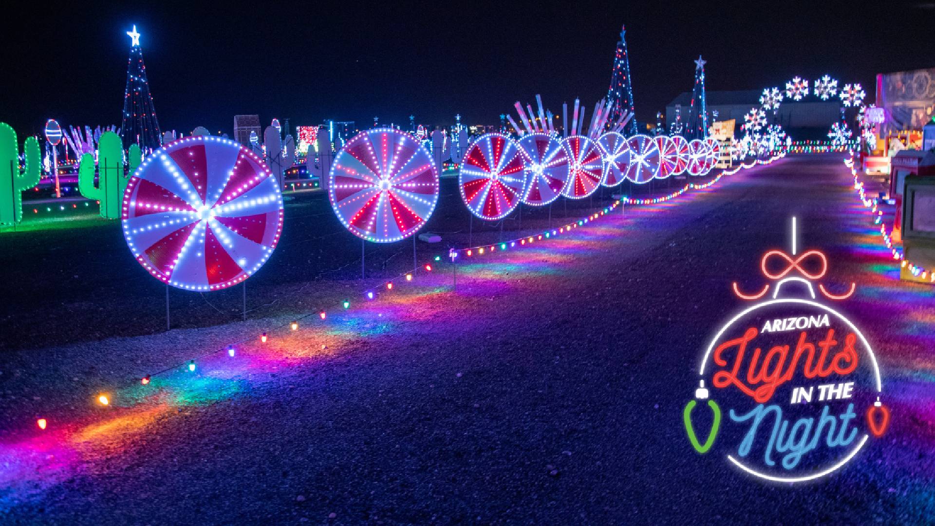Arizona Lights in the Night abre sus puertas a su espectáculo de más de ...