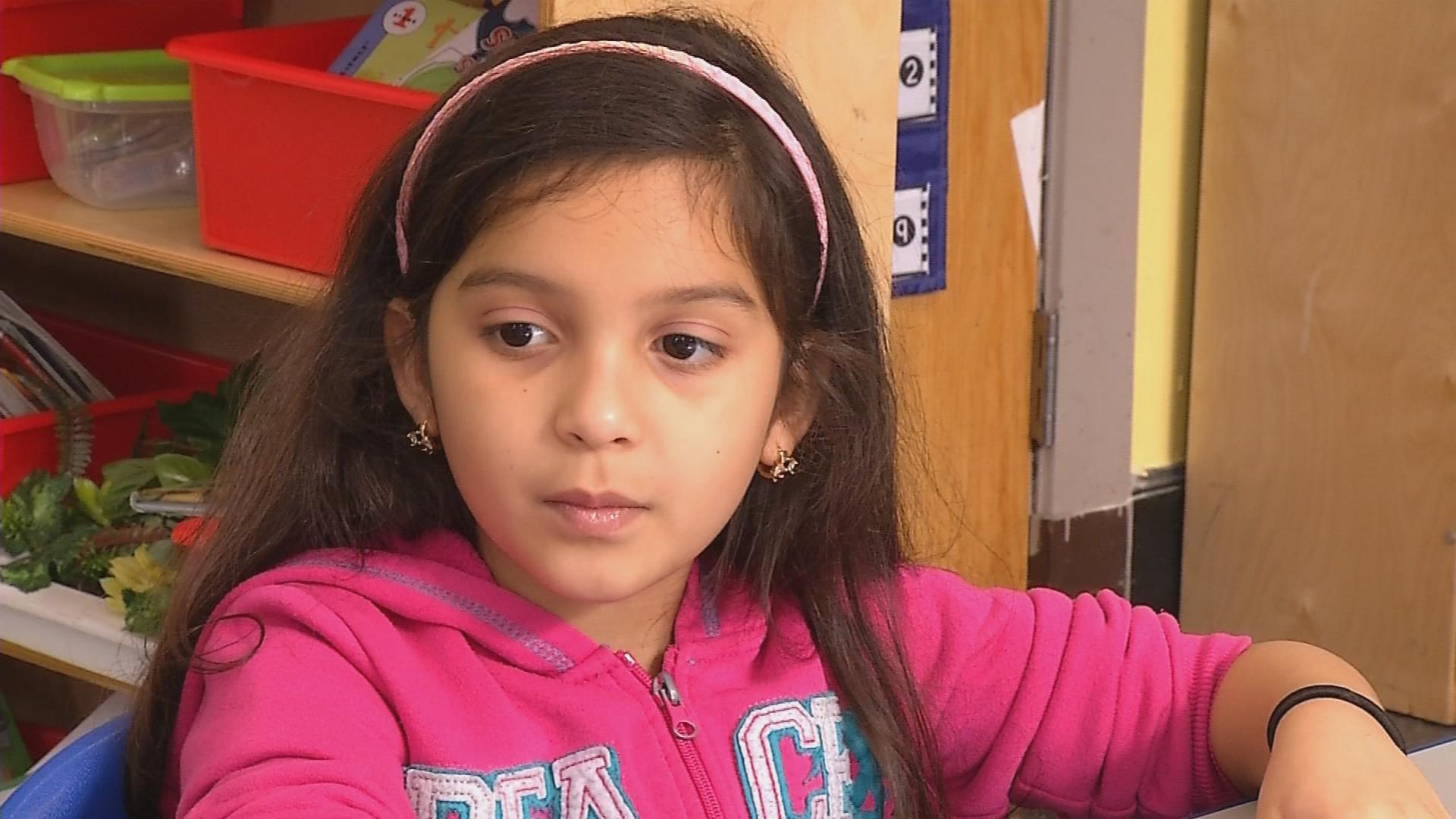 What are the challenges an immigrant girl faces in New York? This is ...