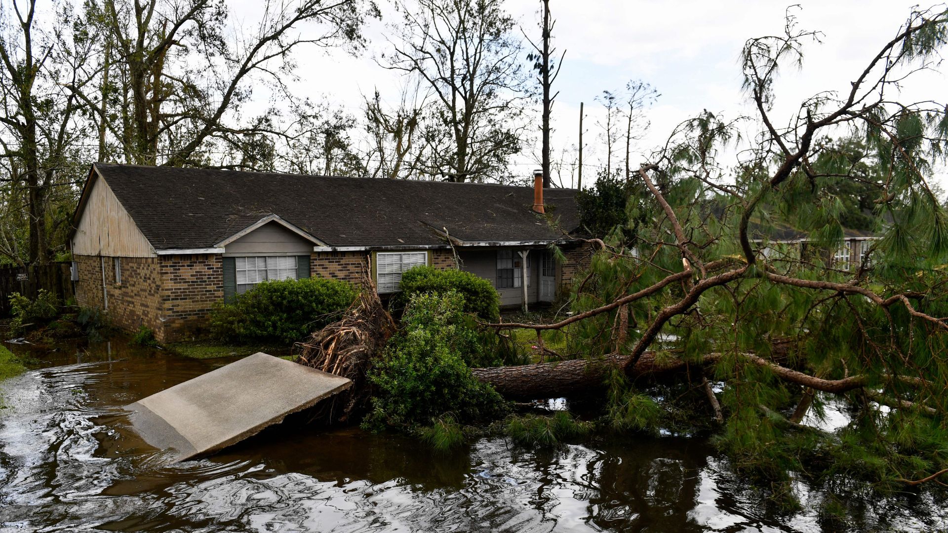 Conoce cómo puedes ayudar a los afectados por el huracan Ida en ...