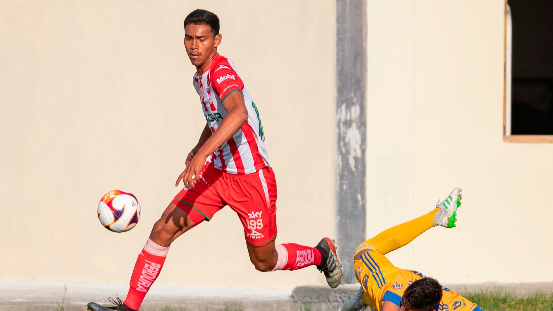 Jesús Alcantar emigra del Necaxa en Liga MX al Sporting Lisboa en ...