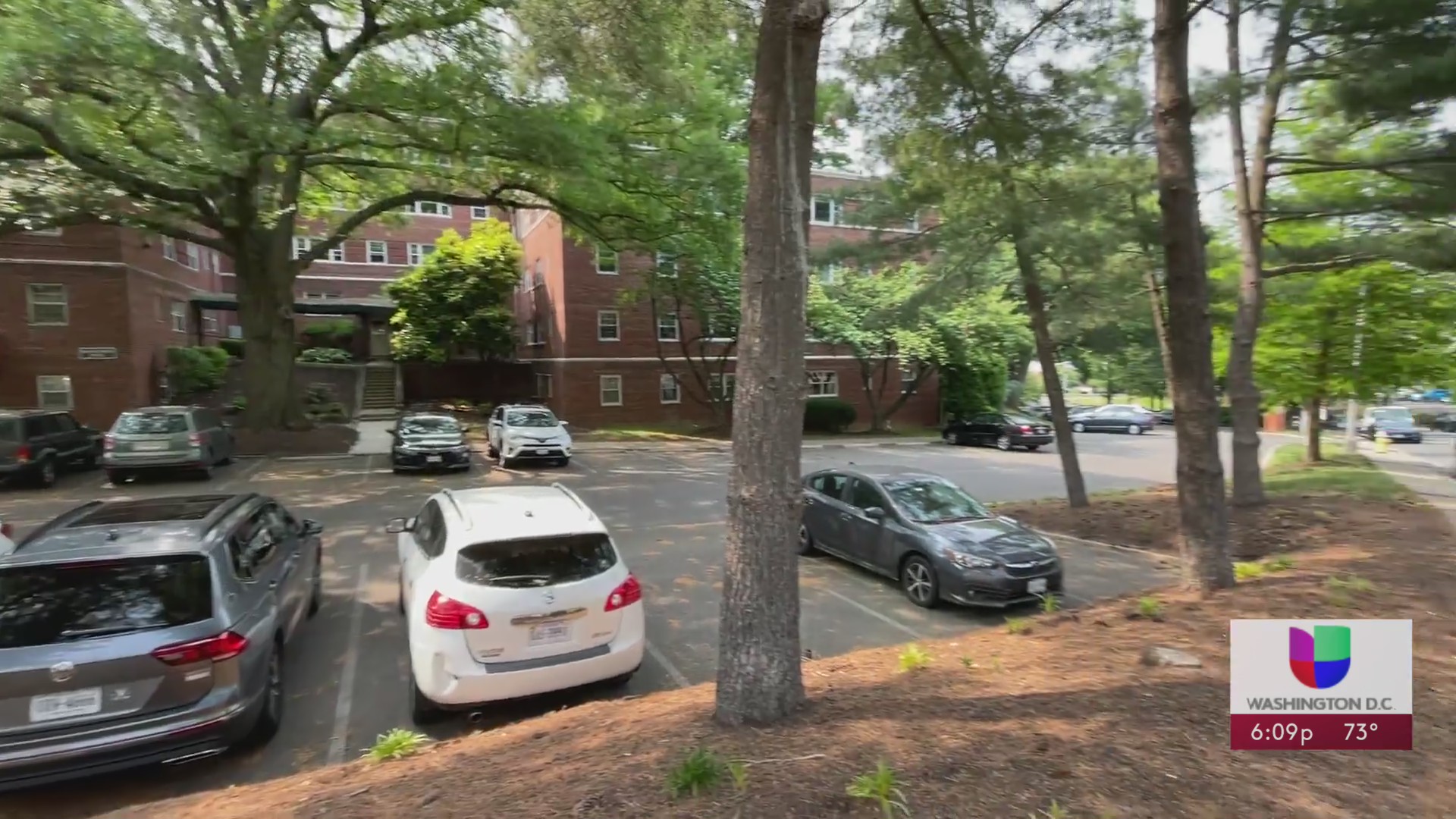 Tres jóvenes vandalizaron más de 20 automóviles en un vecindario de ...