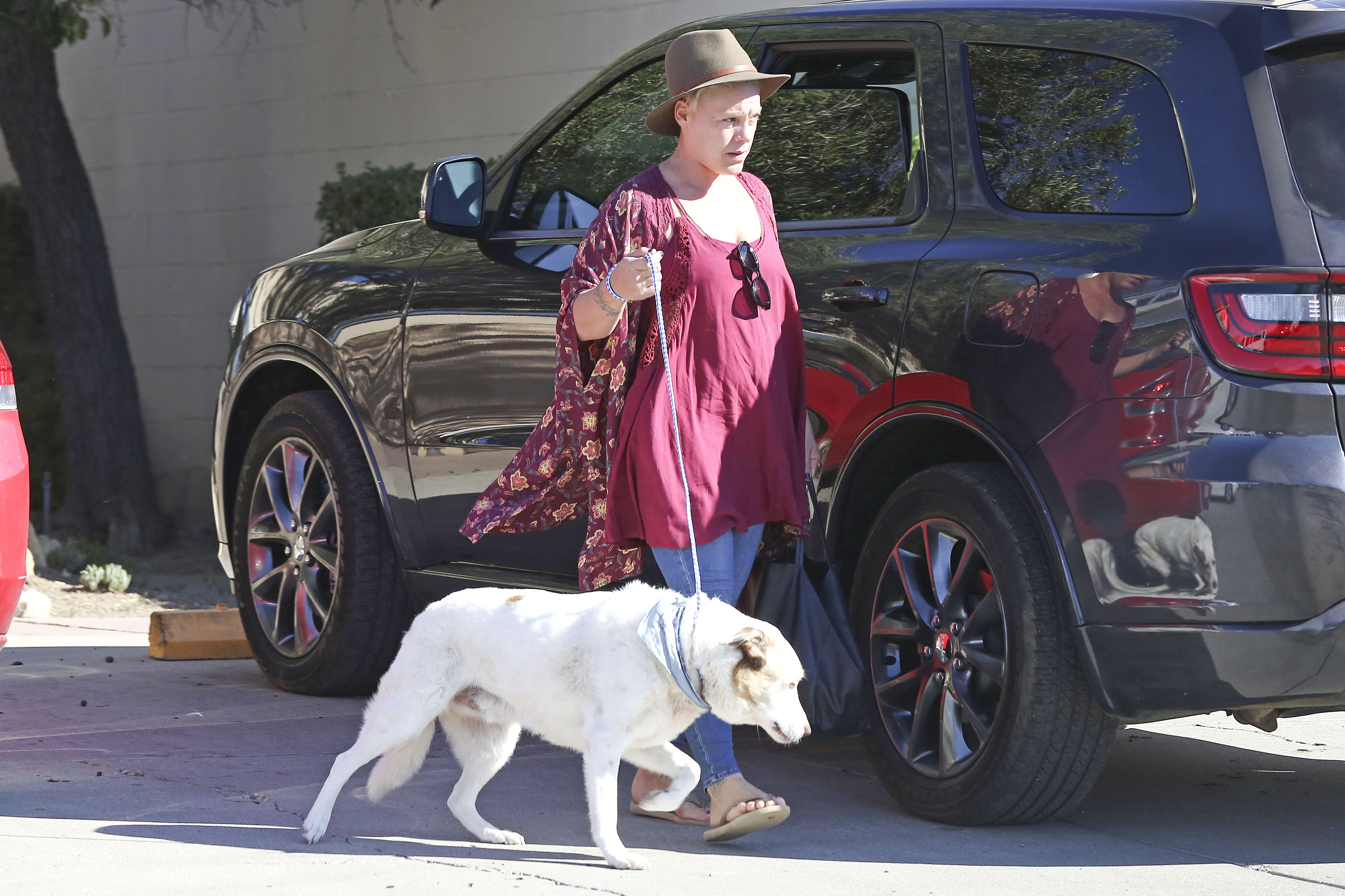 Pink va 'au naturel' al chequeo de su can | Estilo de Vida Living ...