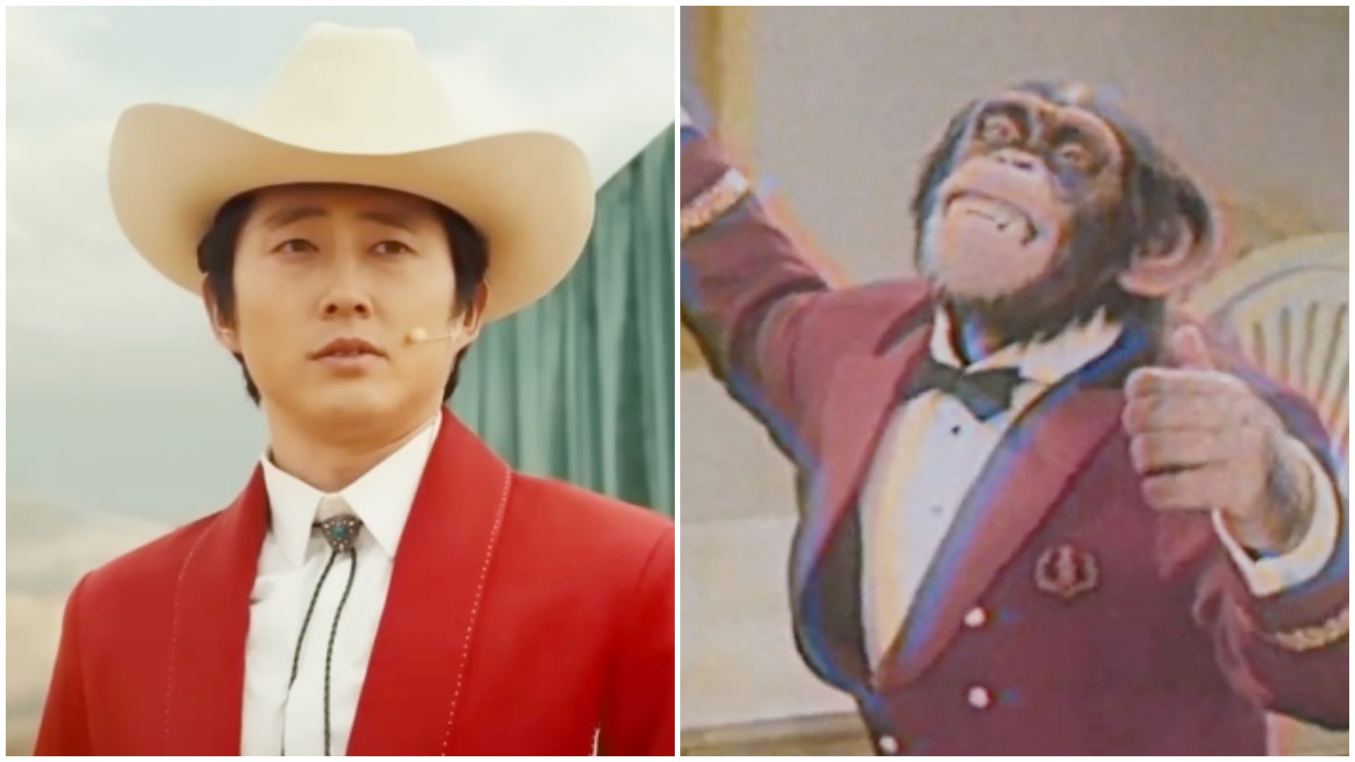 'NOPE': el caso real de Travis el chimpancé que inspiró a la película ...