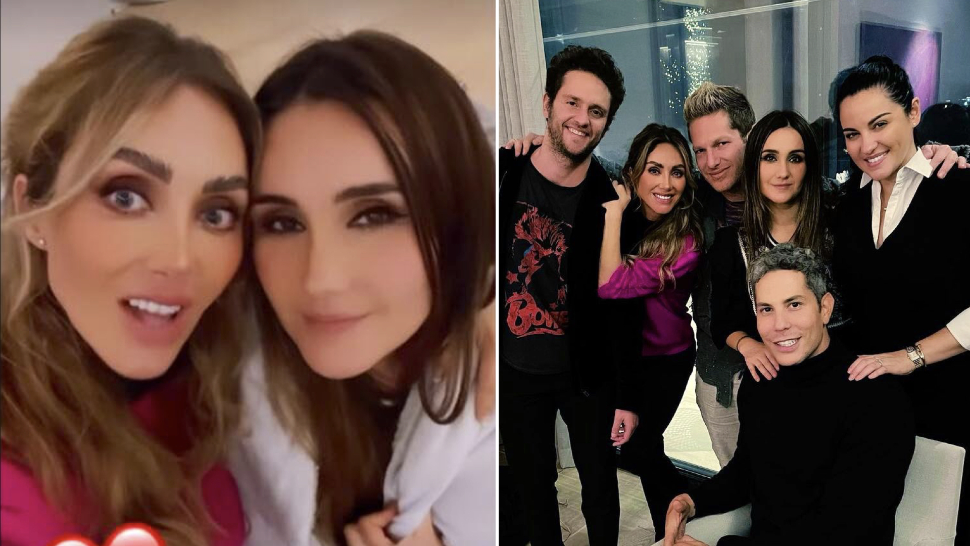 Anahí se lució en la decoración de la cena para los RBD: hubo orquídeas ...