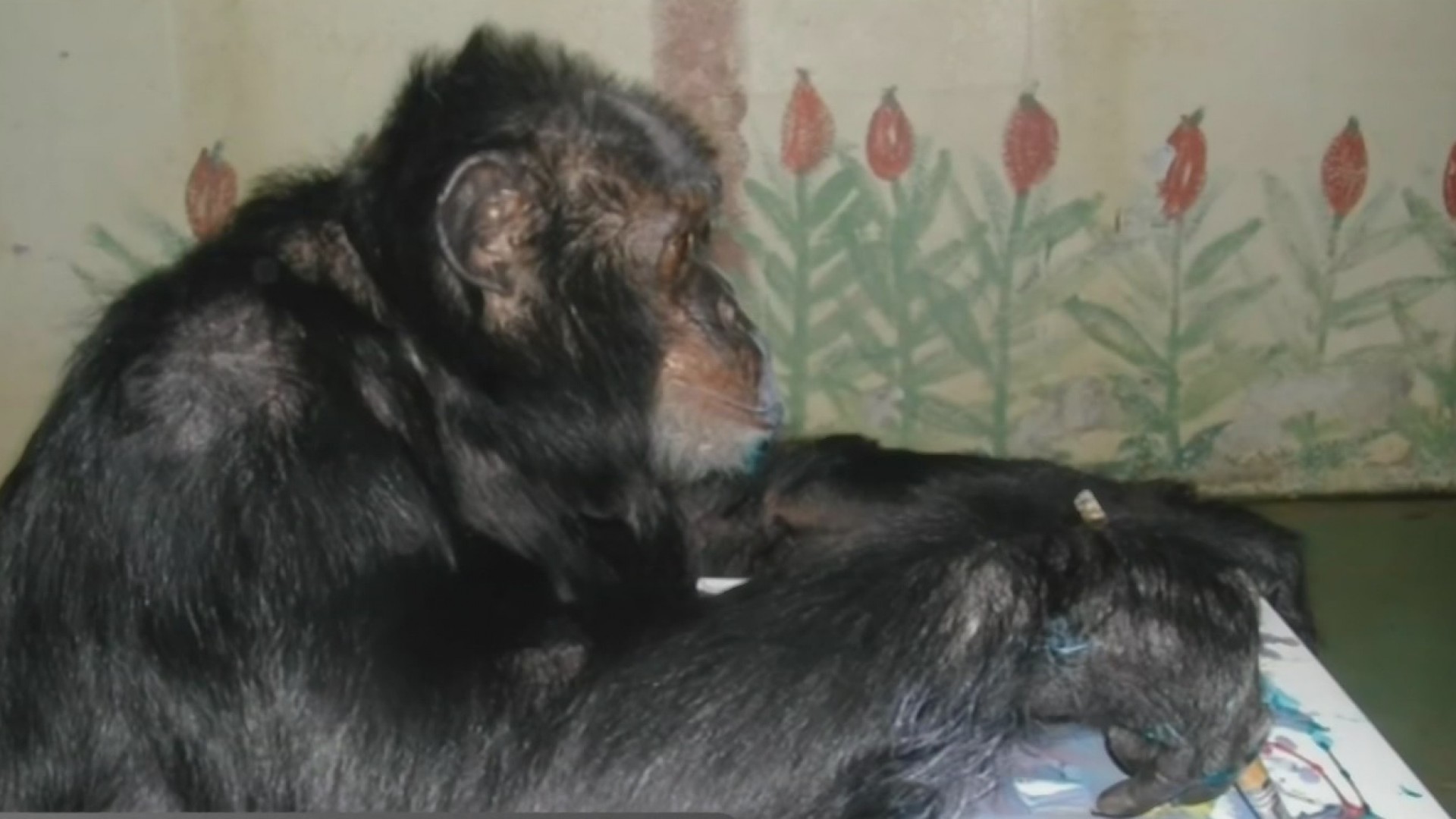 La galería Frames abre sus puertas para la exposición de obras de arte ...