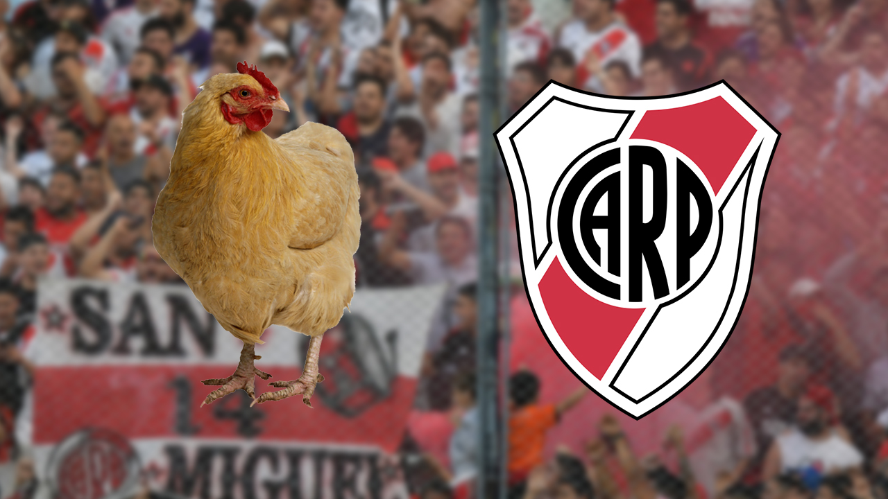 ¿Por qué le dicen Gallinas a los de River Plate? | Deportes Futbol ...