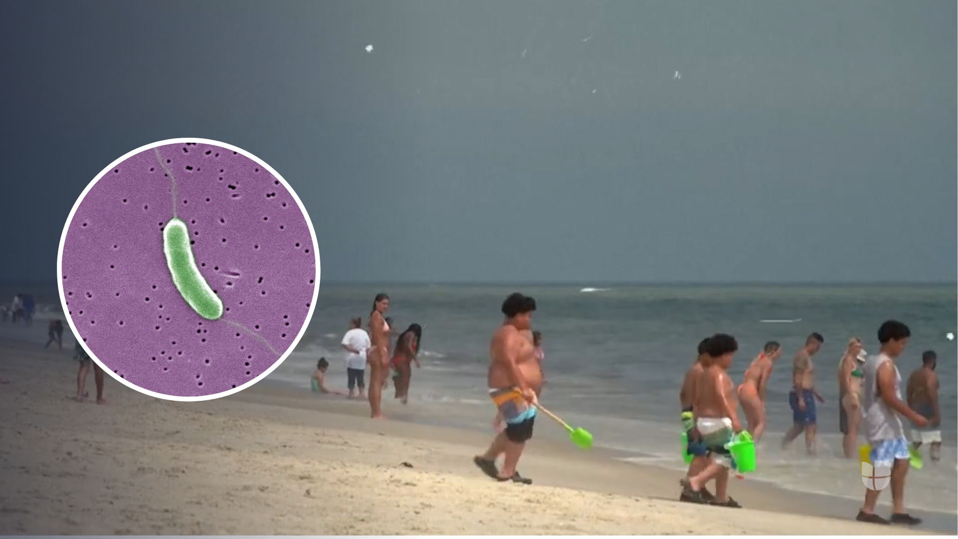 Alerta en Nueva York por presencia de bacteria peligrosa en playas | Video | Univision 41 Nueva ...