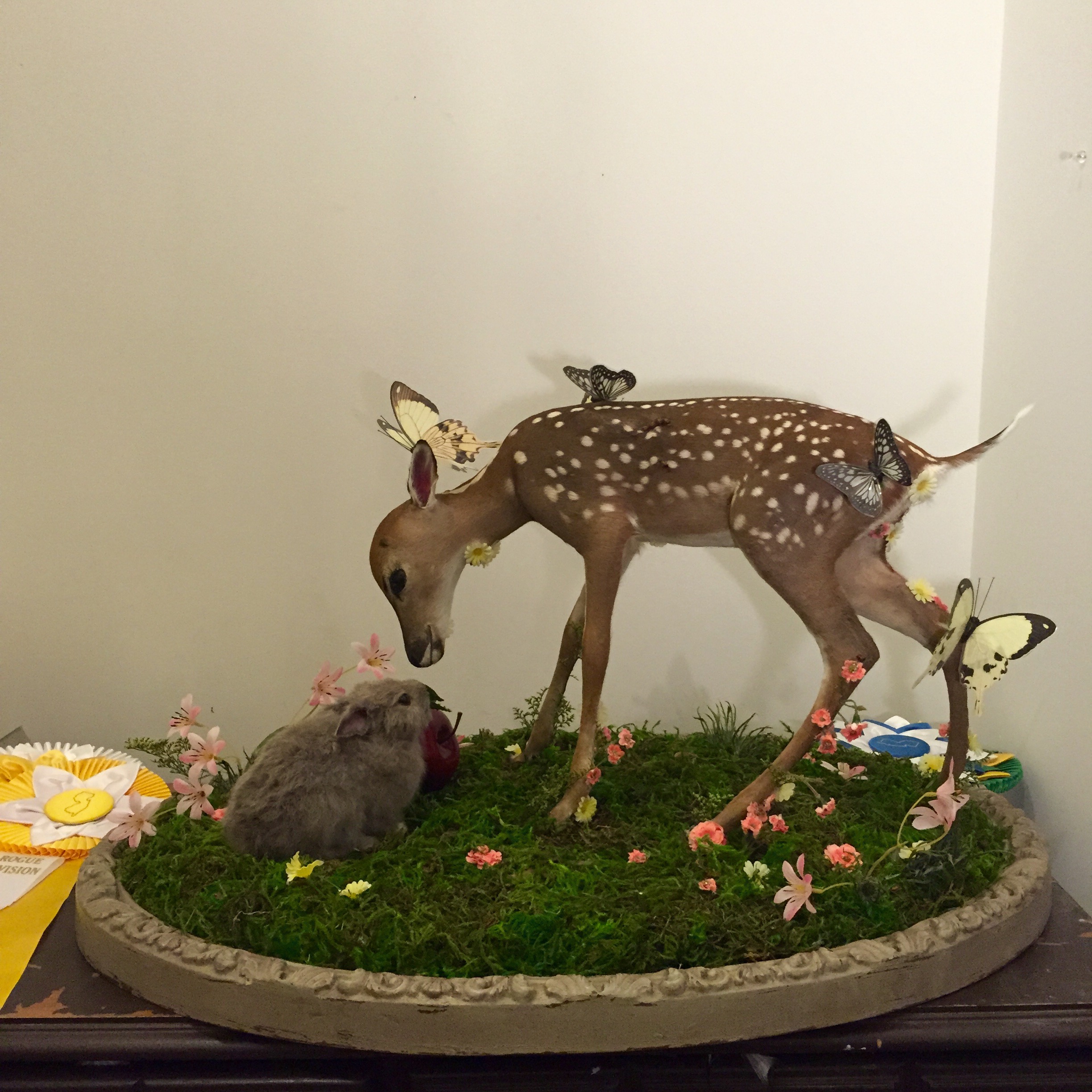 Las creaciones de Divya Anantharaman | Estilo de Vida Moda | Univision