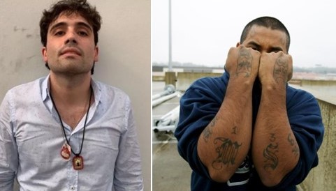 Por esta razón la MS-13 se alejó de Ovidio Guzmán y los otros hijos de ...