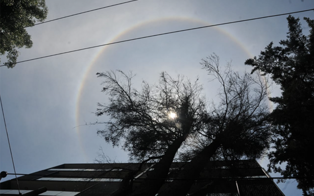 Un halo solar en el cielo sorprende a los mexicanos | Noticias ...