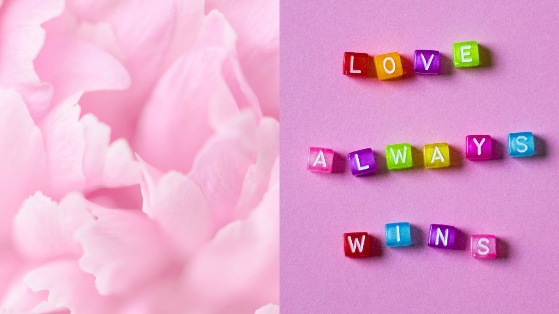 Día Internacional del Rosa: significado y origen de esta fecha contra ...