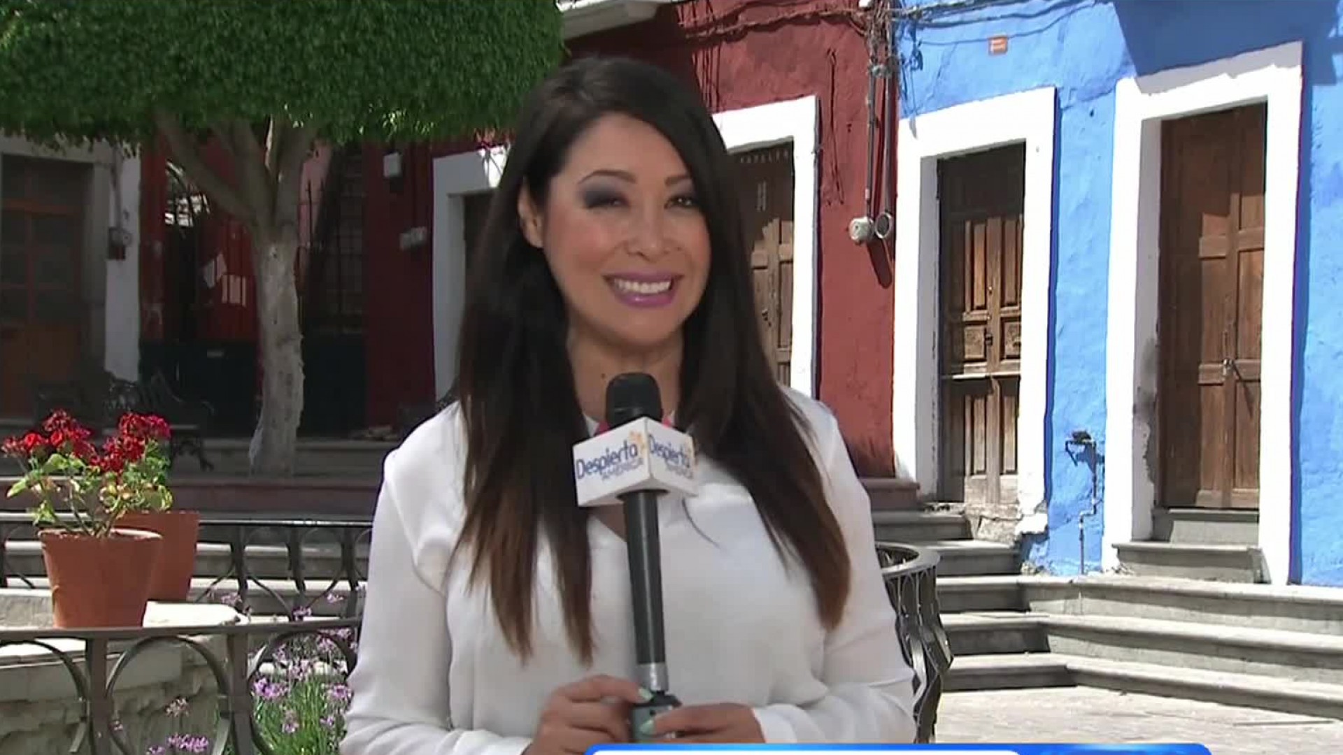 ¡Vámonos! Addis Tuñón nos invita a conocer Guanajuato | Shows Despierta ...