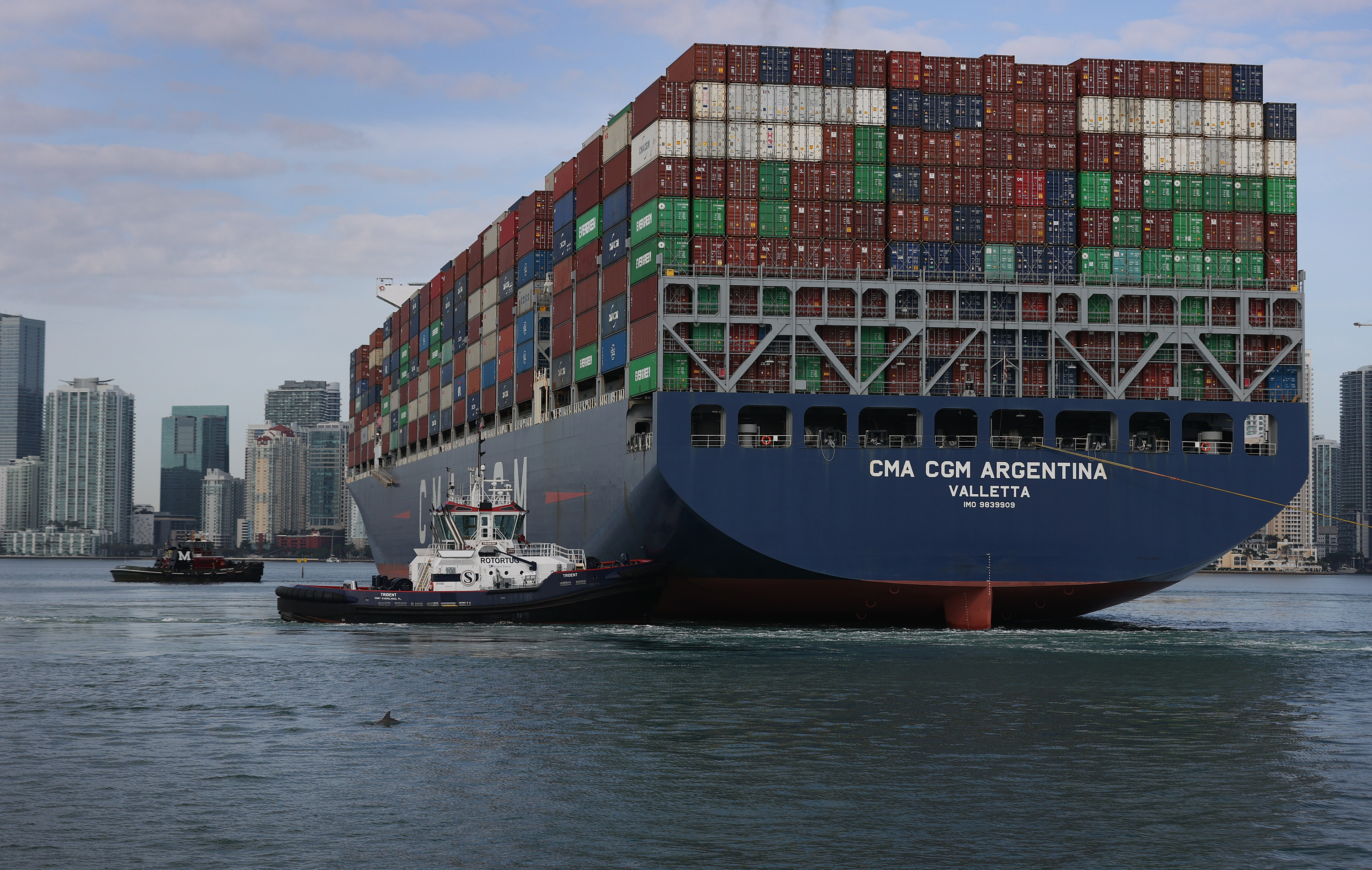 Llega al PortMiami el CMA CGM Argentina, la embarcación más grande que ...