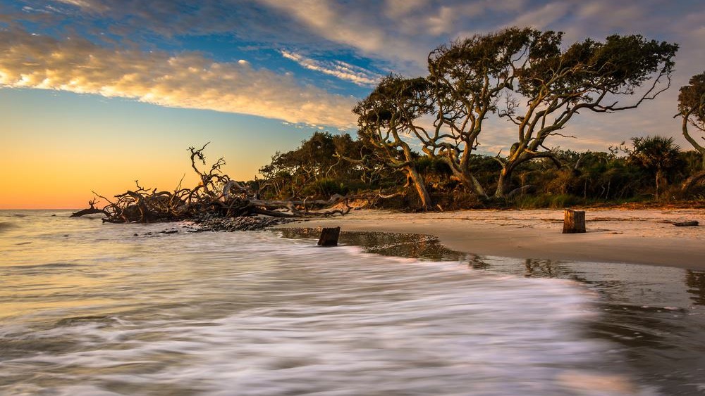 Conoce las 5 mejores playas para visitar en Georgia | Video | Univision ...