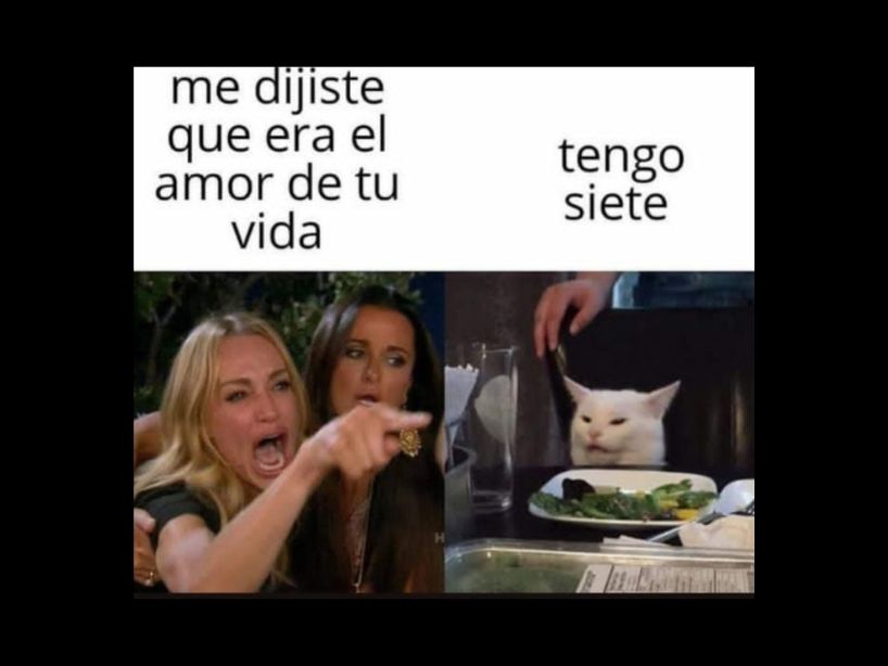 Los mejores memes del gato | Shows Viral | Telehit