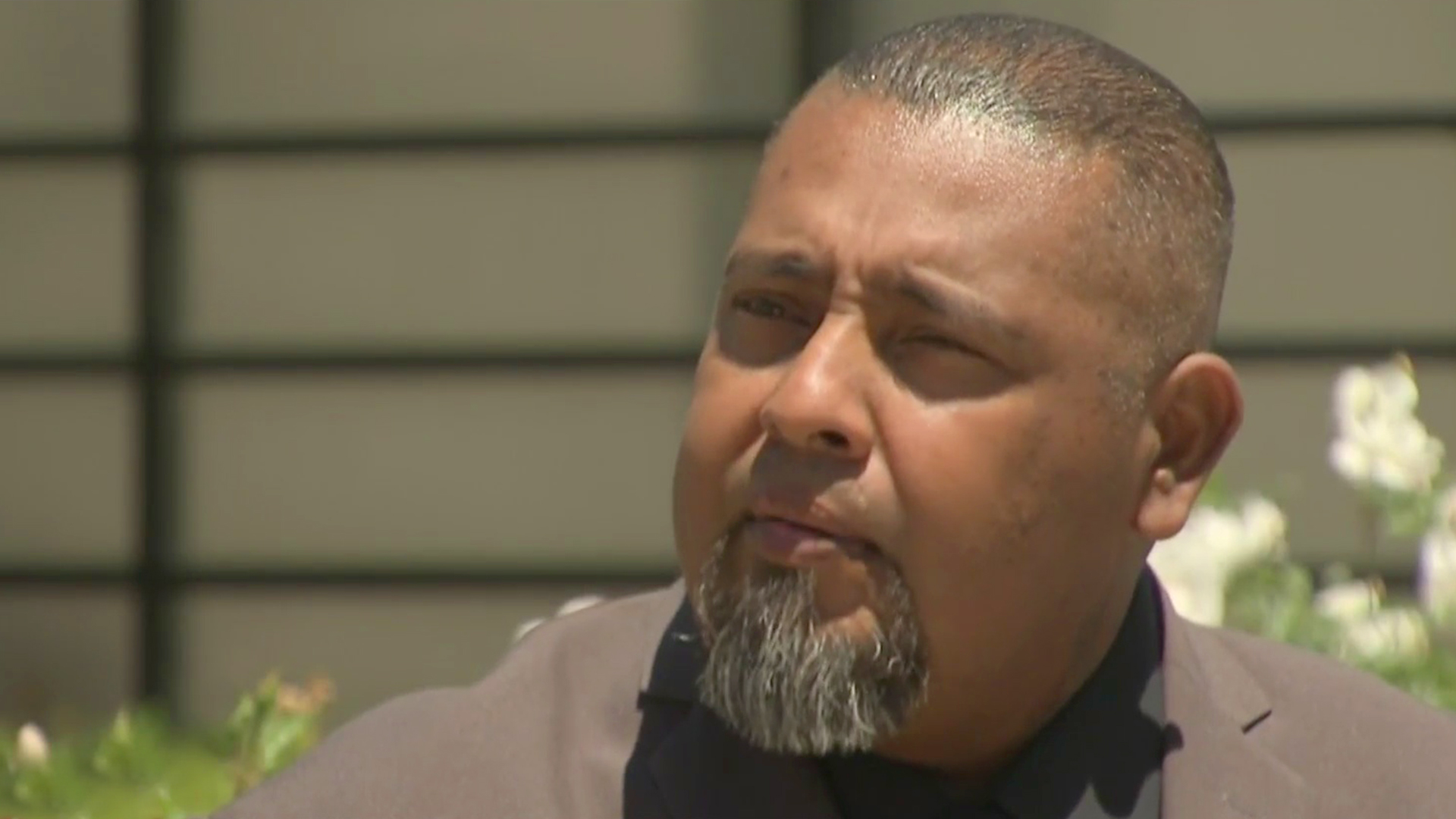 A través de programas de prevención y rescate, organizaciones salvan a ...