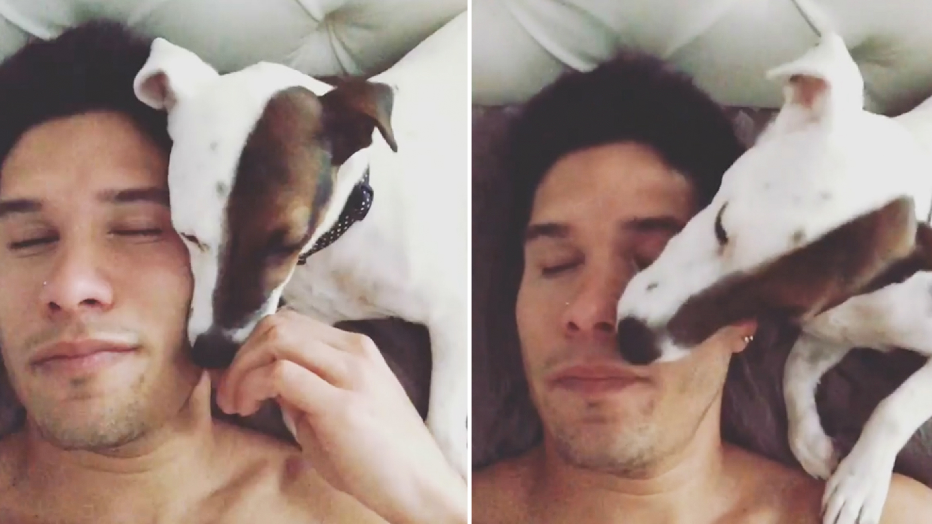 Chyno se deja lamer el rostro por su perro y te decimos por qué es ...