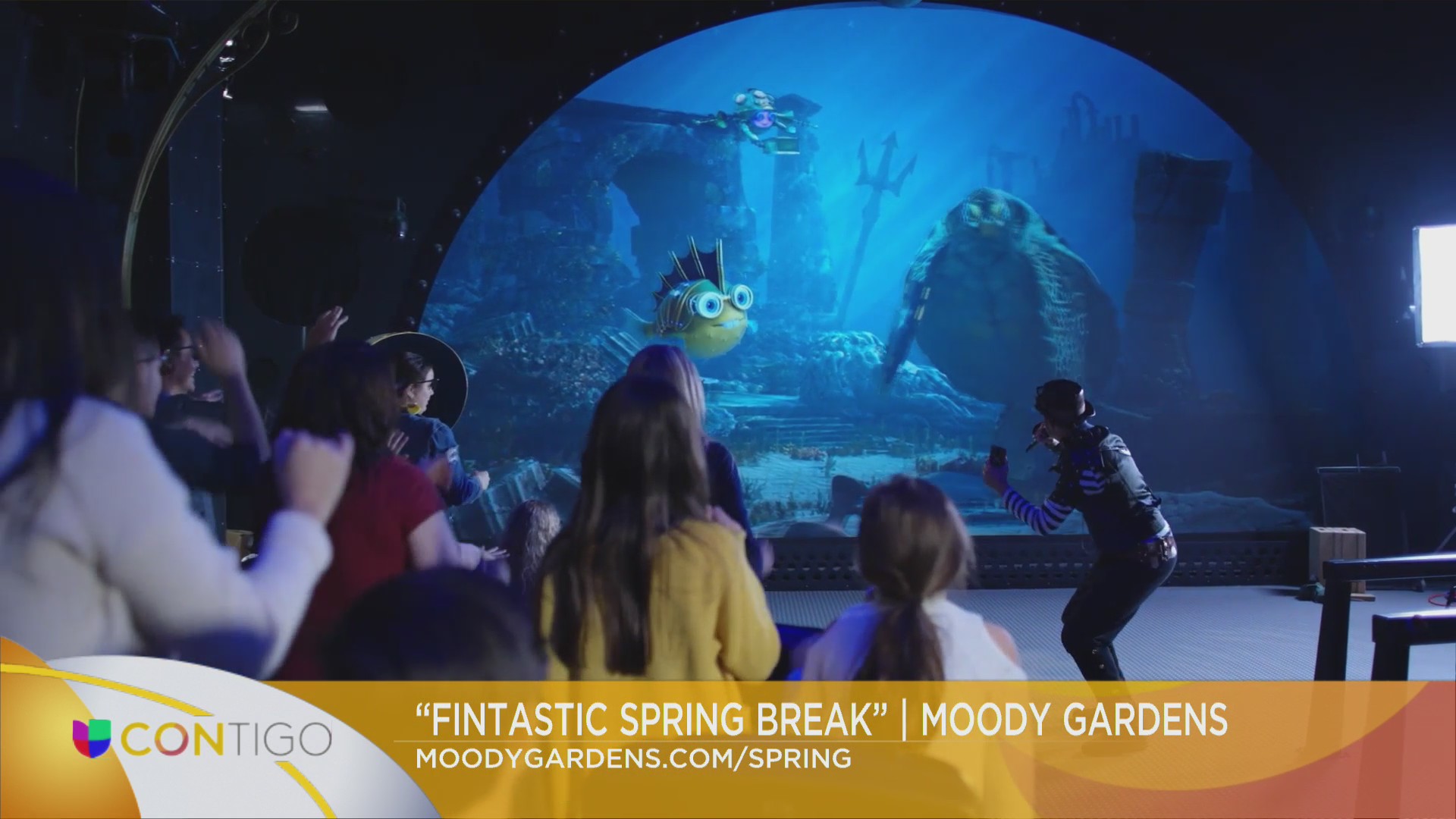 Actividades divertidas en nuestra ciudad para las vacaciones de ...