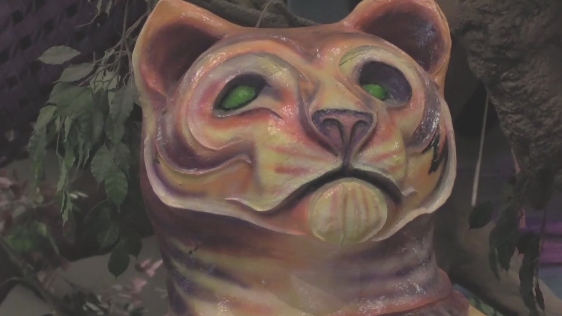 Explorando Arizona: Makutu’s Island es un lugar ideal para compartir en ...