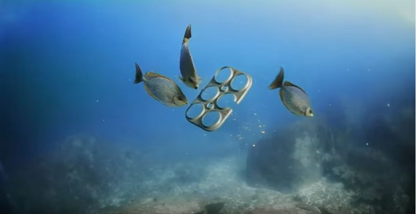 VIDEO: The latest innovation in sustainable beer brewing: biodegradable ...